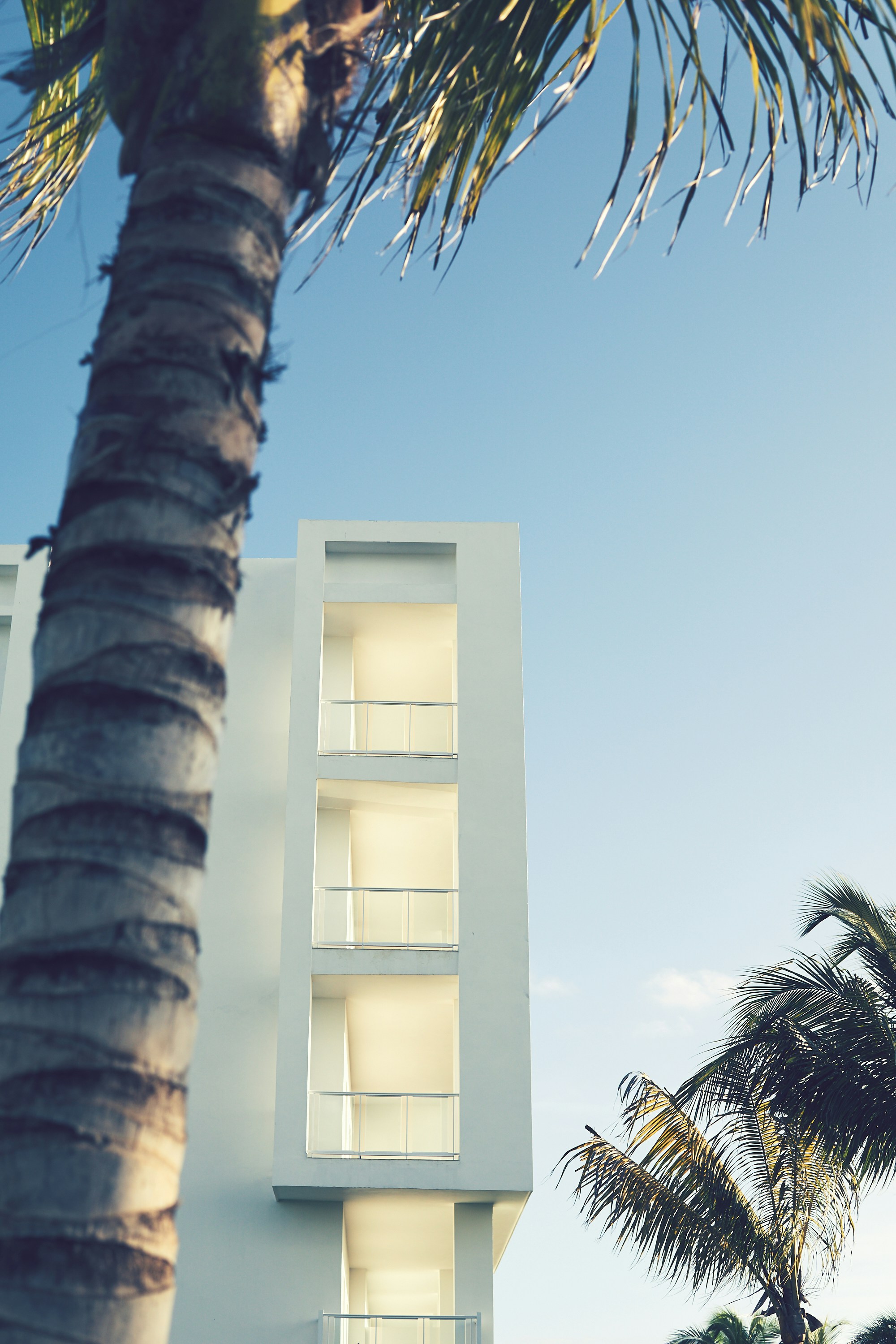 Définition de complexer | Dictionnaire français | La langue française