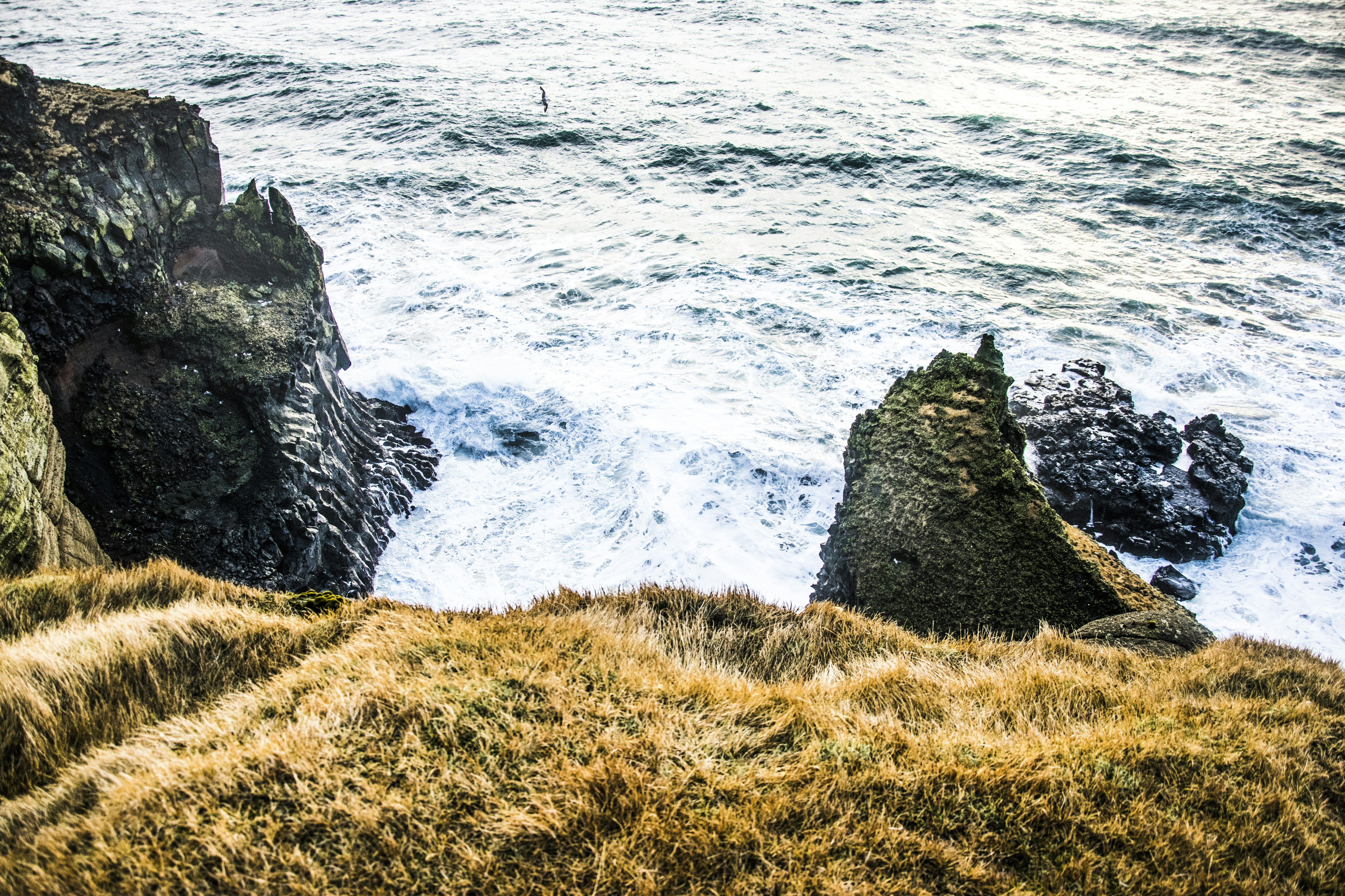 Rugged cliffs overlook a foamy sea with golden grass in the foreground.