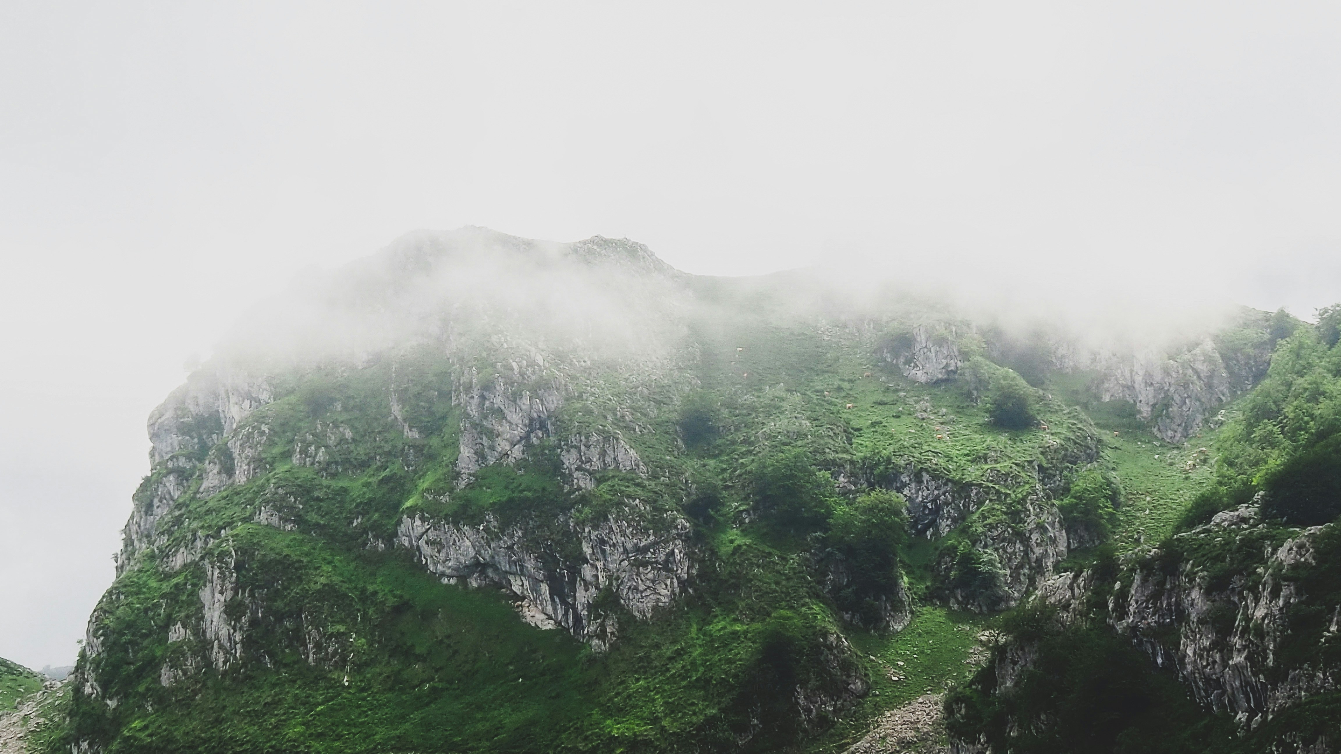 Low-hanging fog envelops lush green mountains in the Picos de Europa.