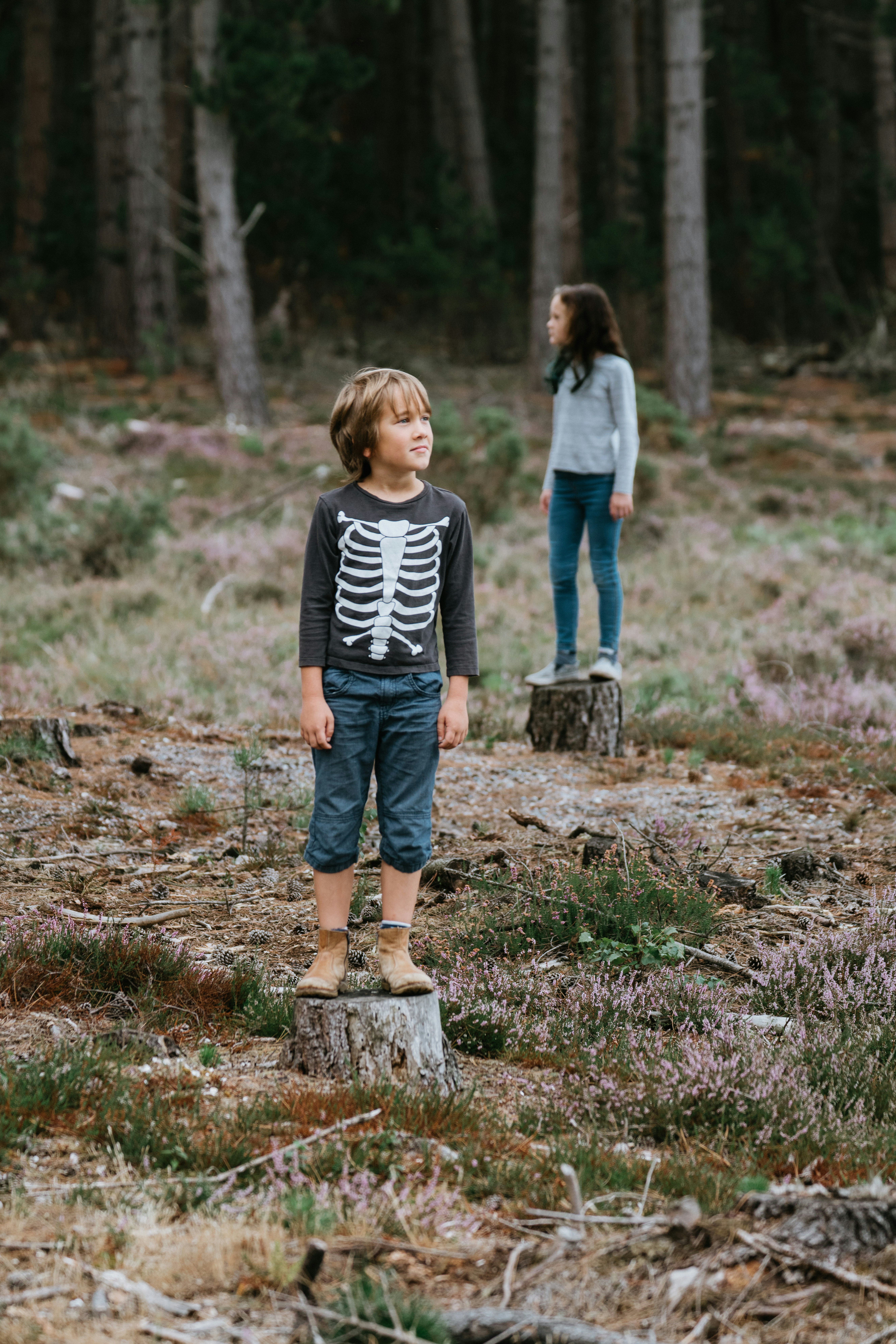 Two Forest Kids: A Quiet Balance on Stumps Amid Heather and Pines