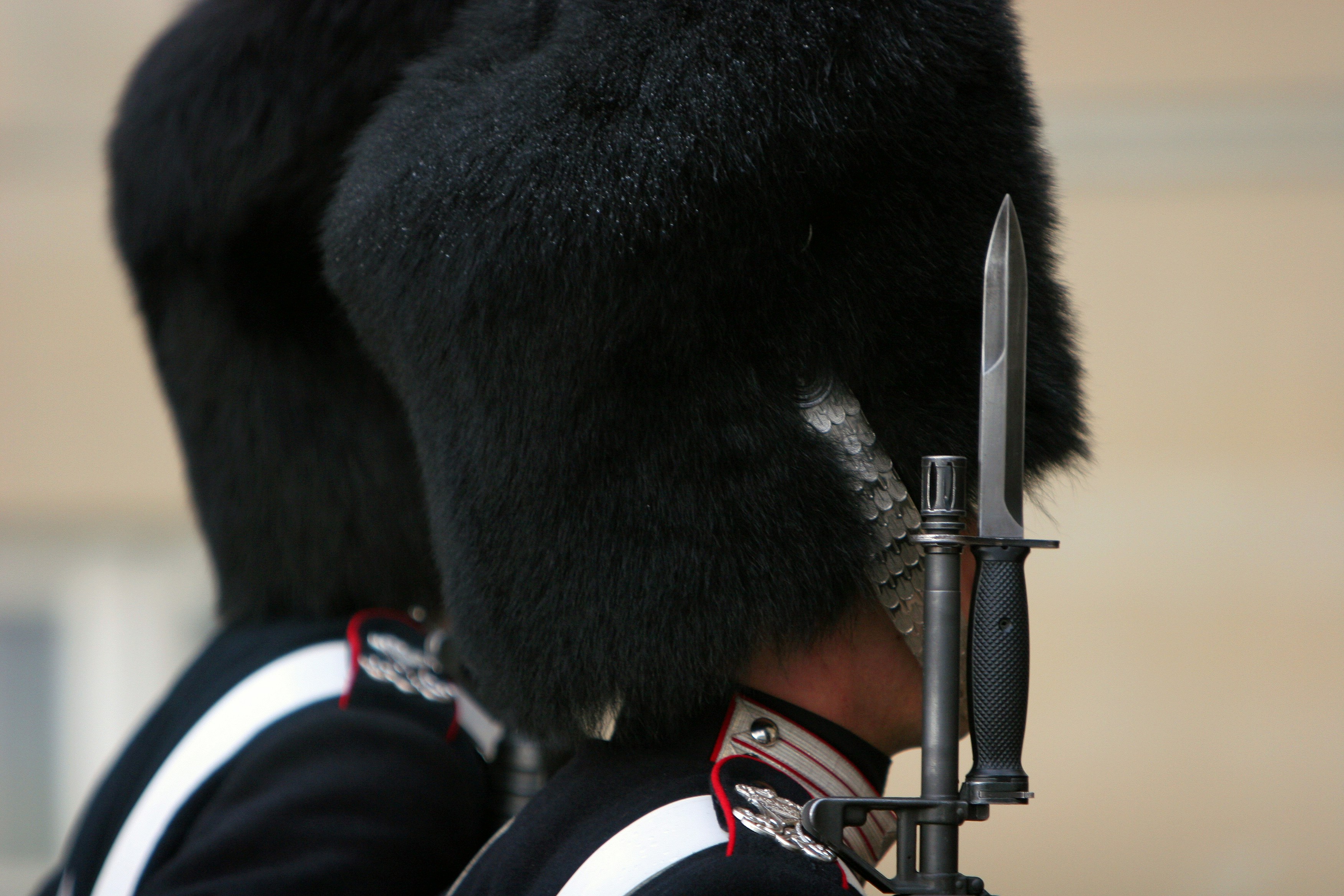 Closeup photo of two royal guards photo – Free Copenhagen Image on Unsplash