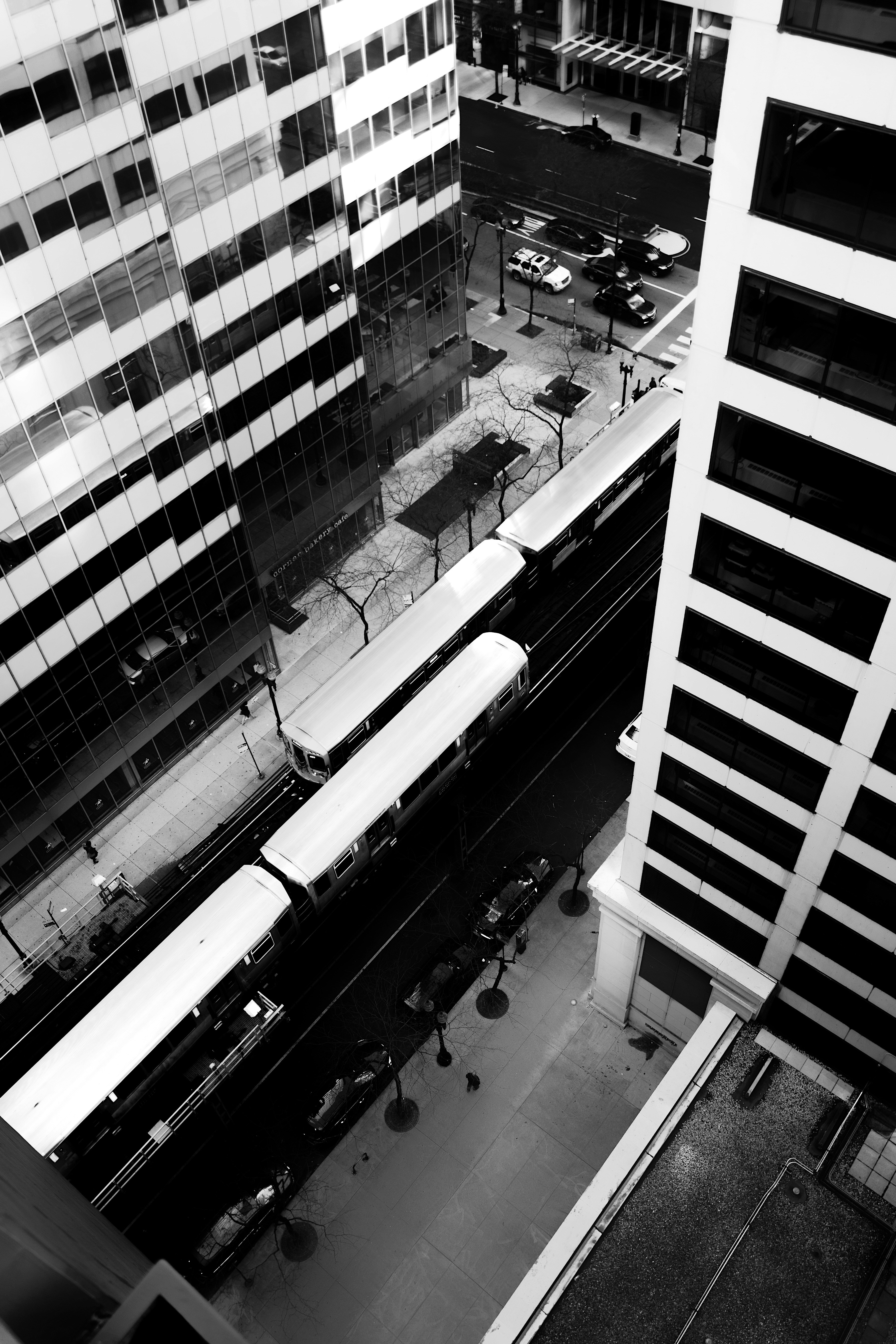 Grayscale photography of vehicles on road near buildings photo – Free ...