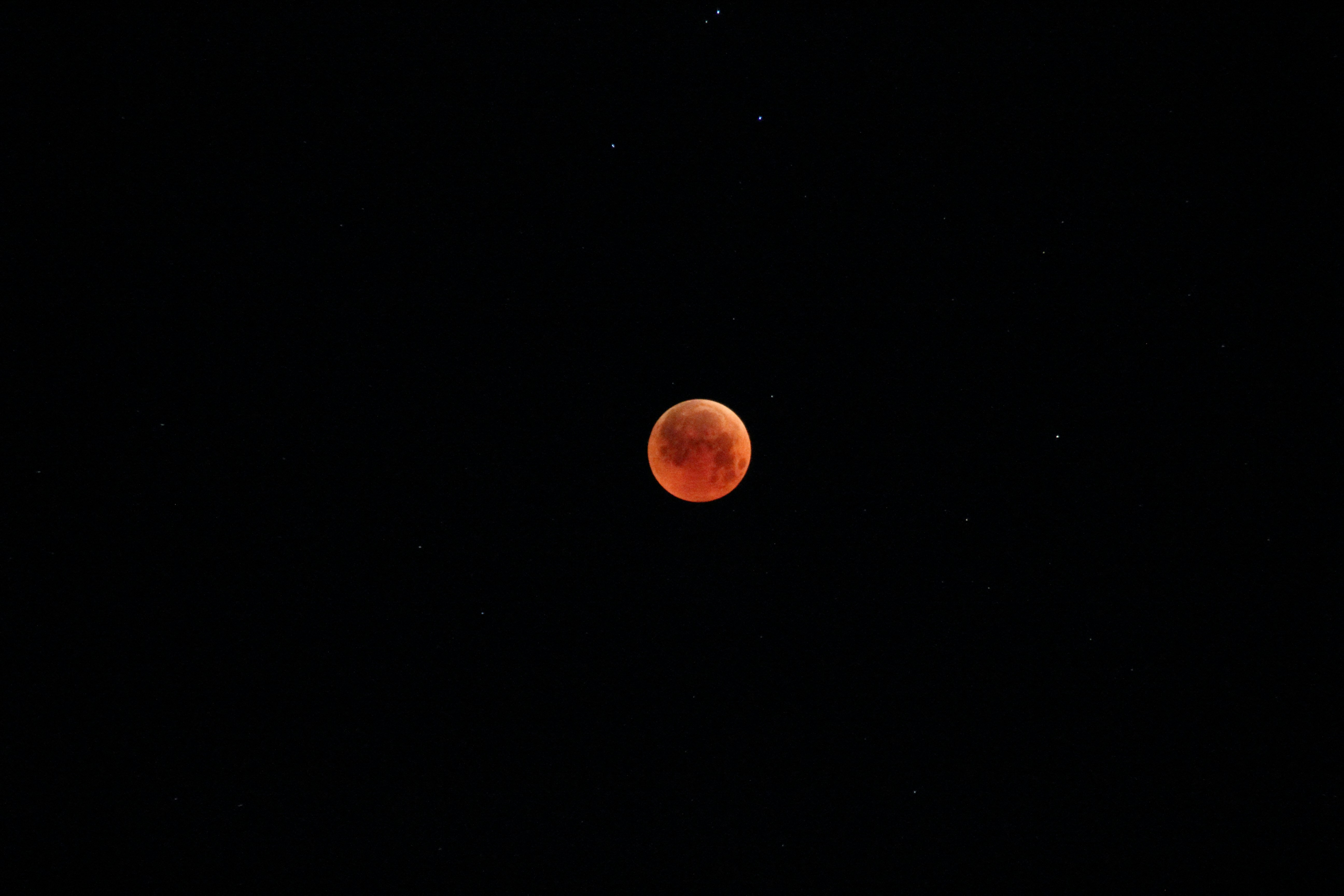100+ Blood Moon Pictures | Download Free Images & Stock Photos on Unsplash