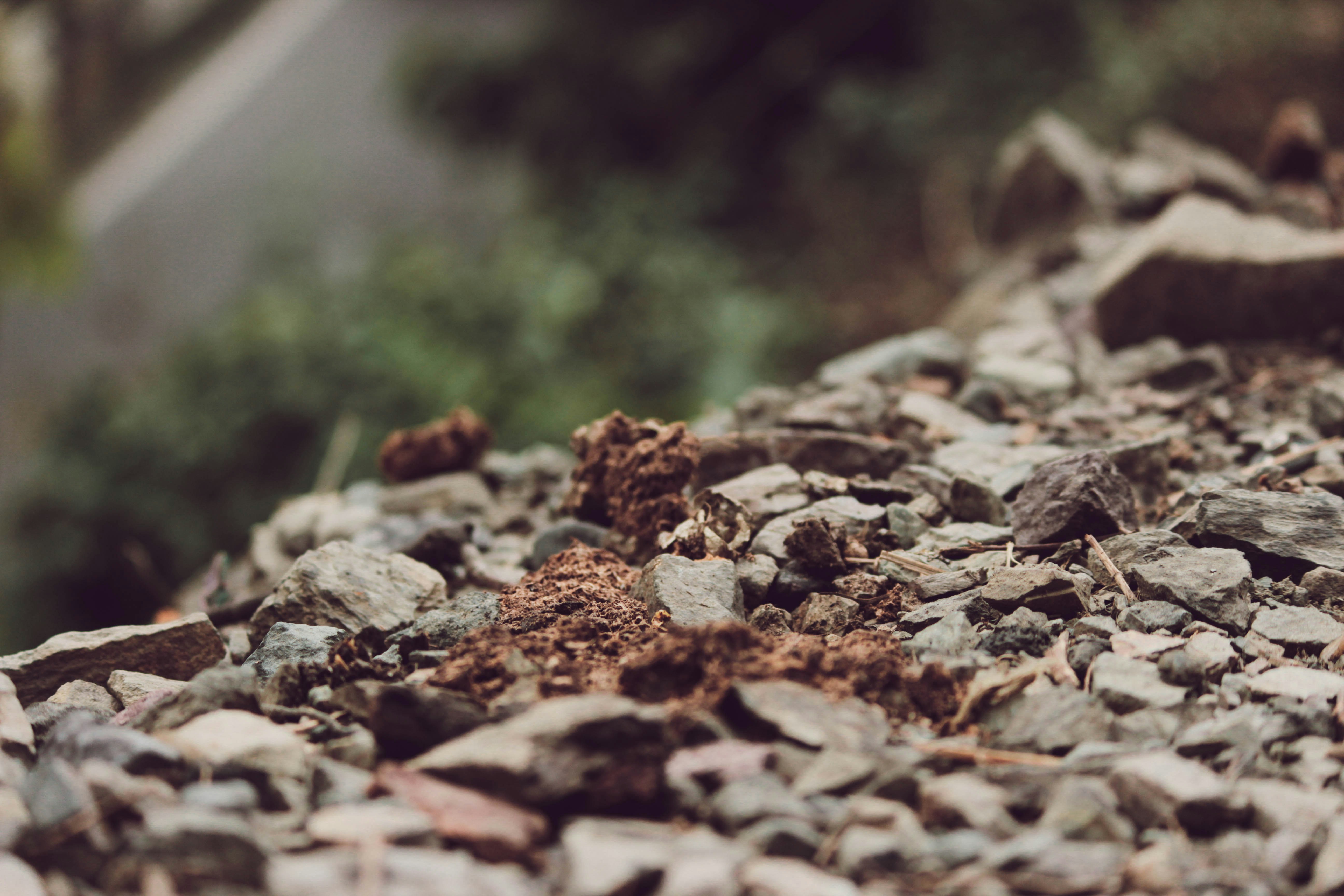 selective focus photography of gray stones