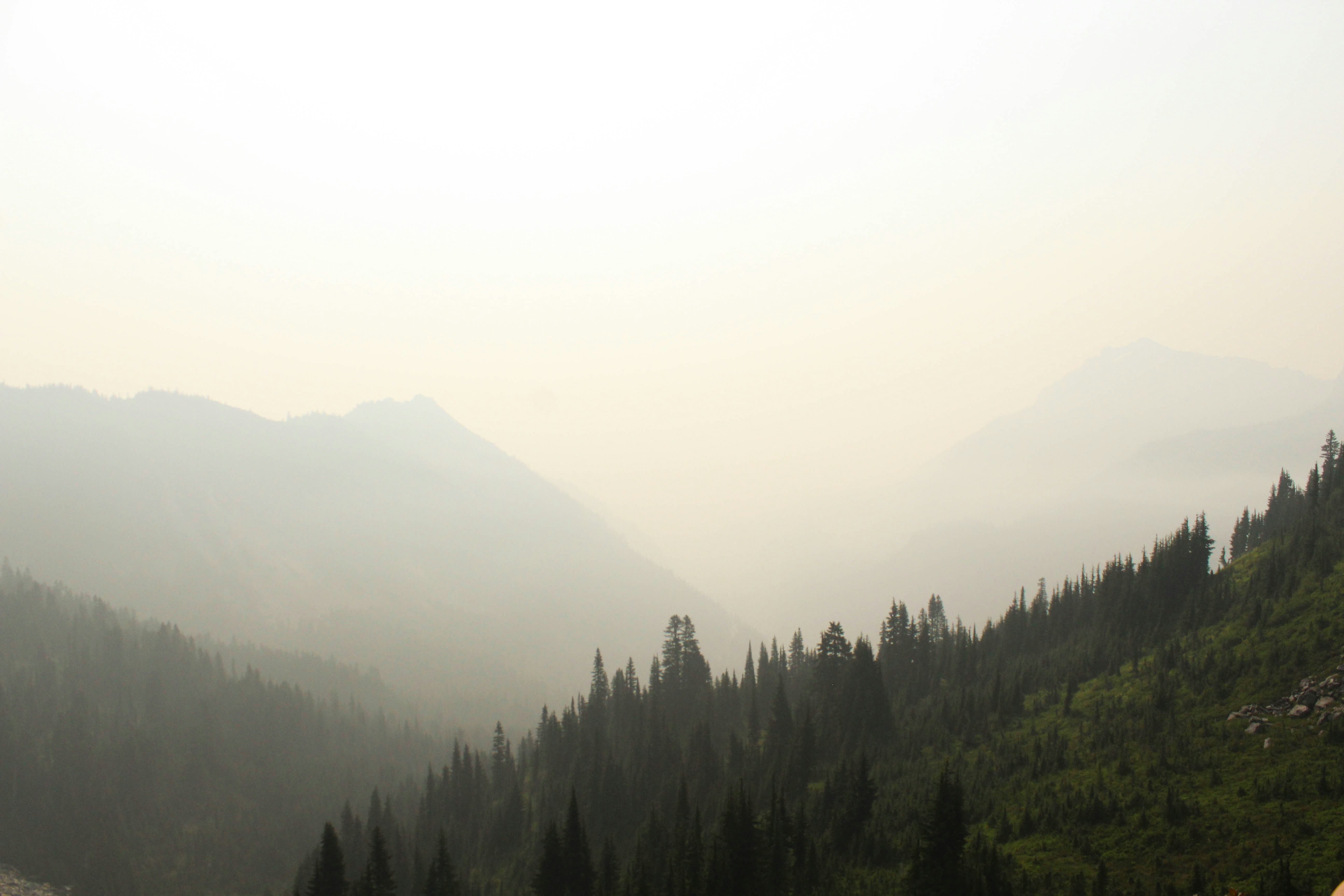 Veil of Mist Over Mountain Valleys