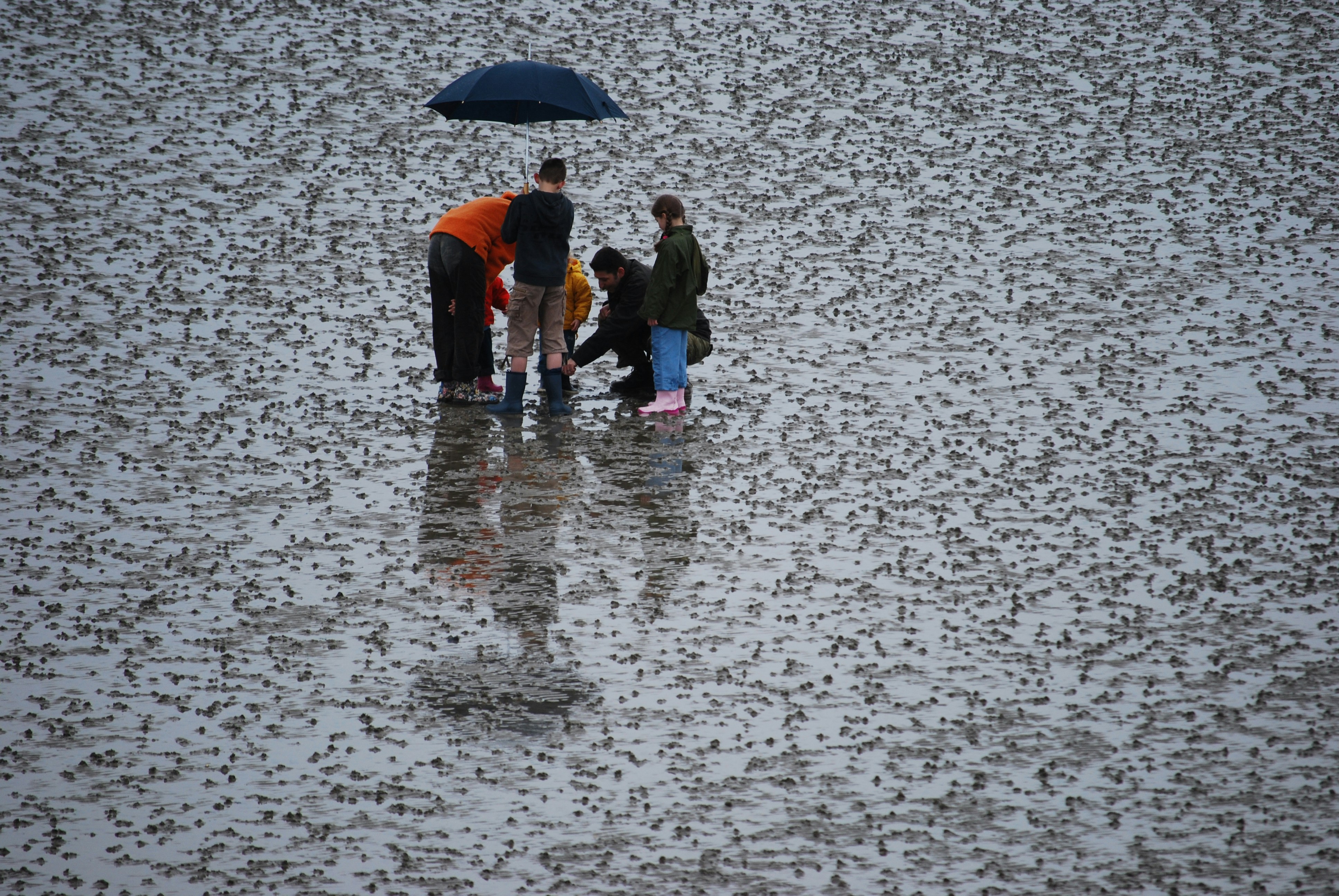 People on mud photo – Free Butjadingen Image on Unsplash