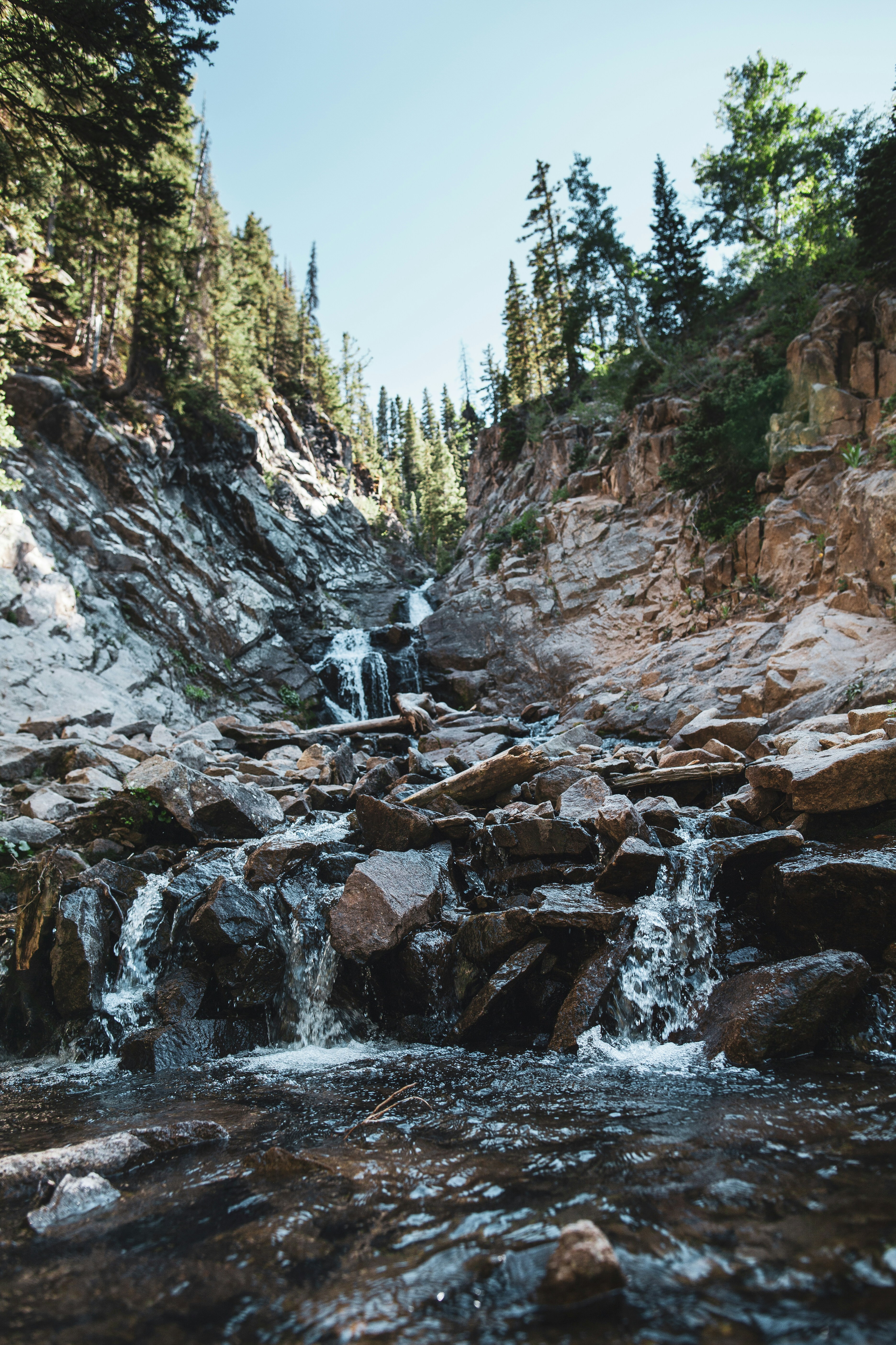 A man standing on a rocky stream next to a forest photo – Free Colorado ...