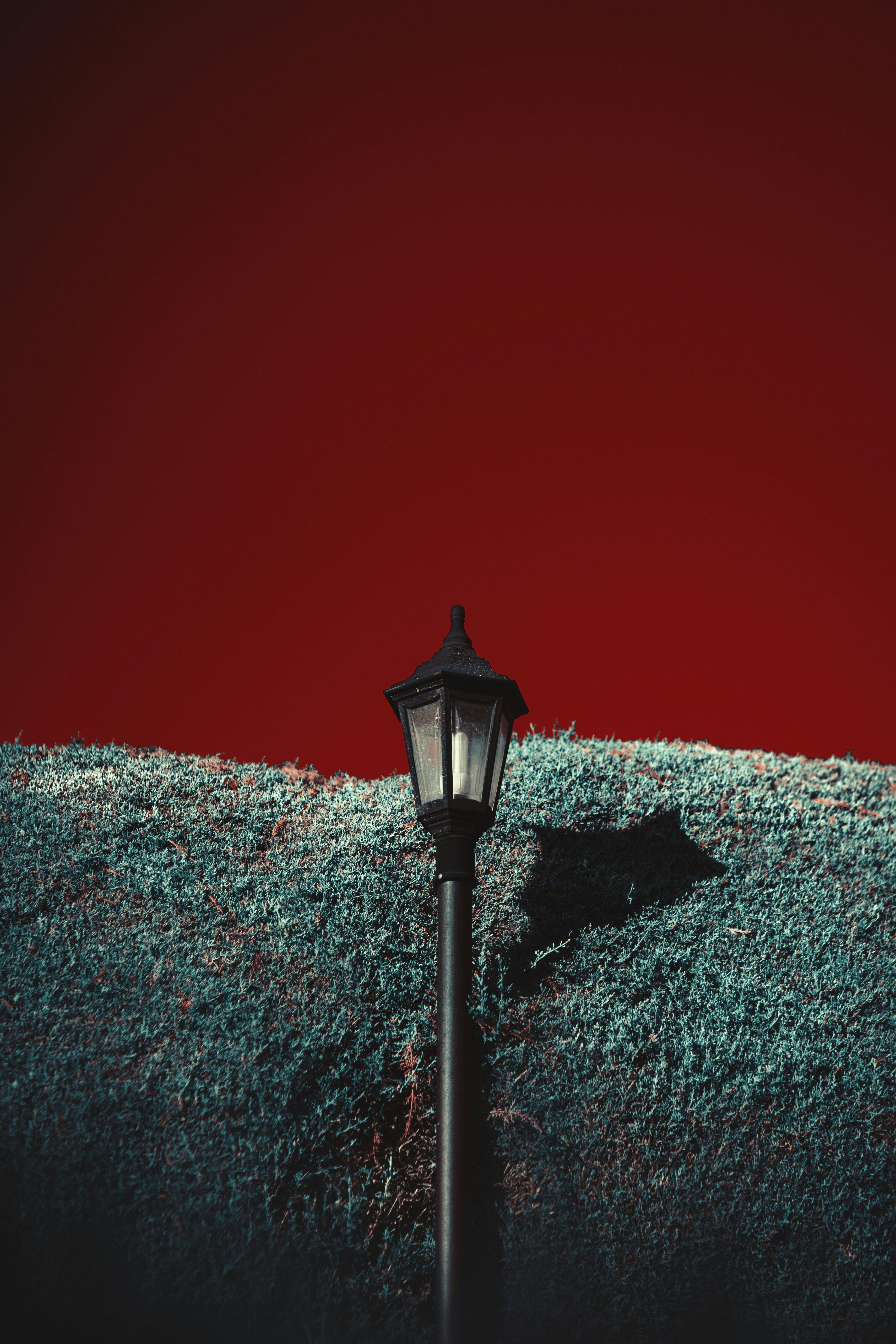 A vintage street lamp stands against a deep red backdrop, partially obscured by lush greenery. The scene evokes a sense of quiet contemplation.