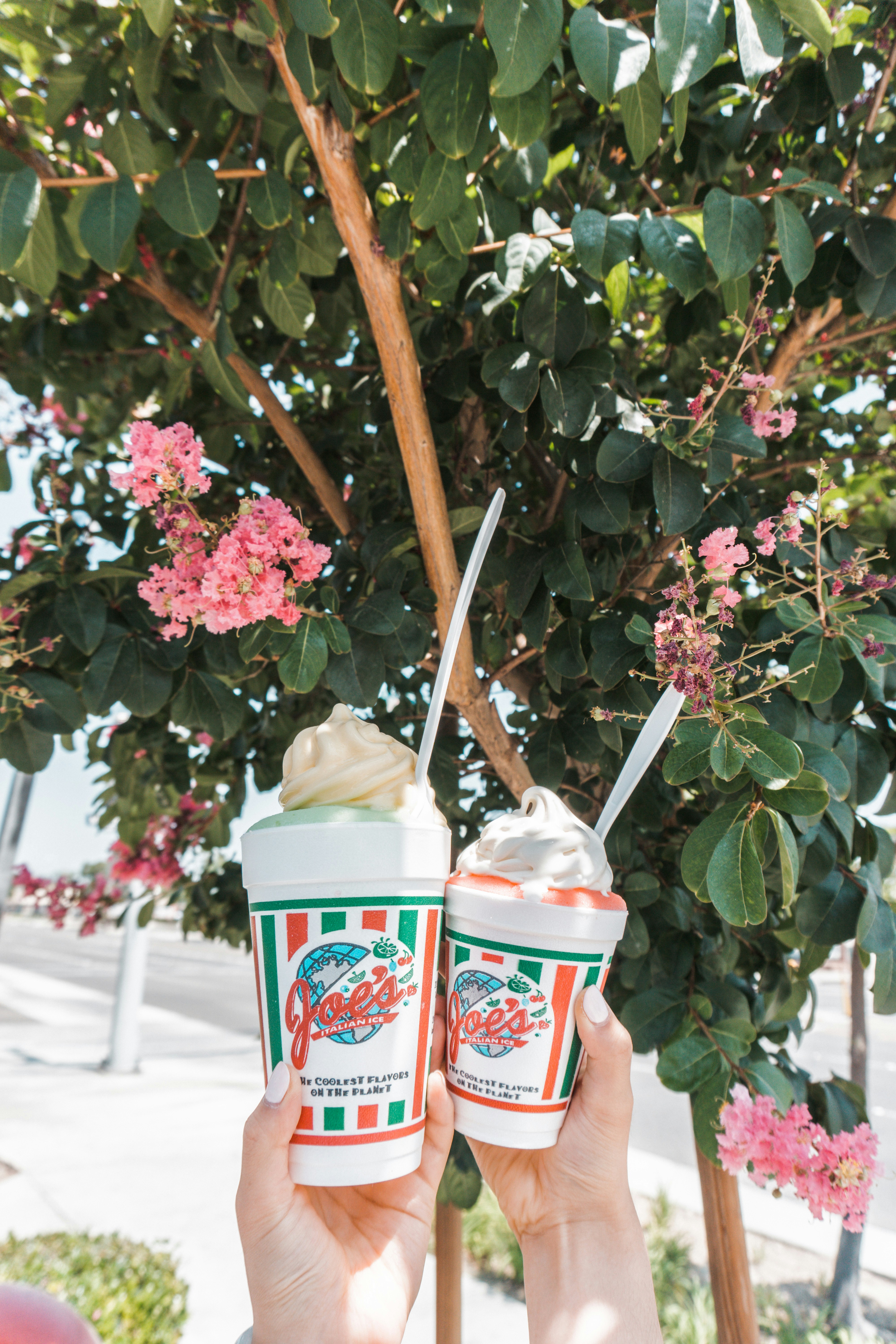 Two hands holding colorful frozen treats in branded cups, with a backdrop of vibrant pink flowers and lush green leaves.