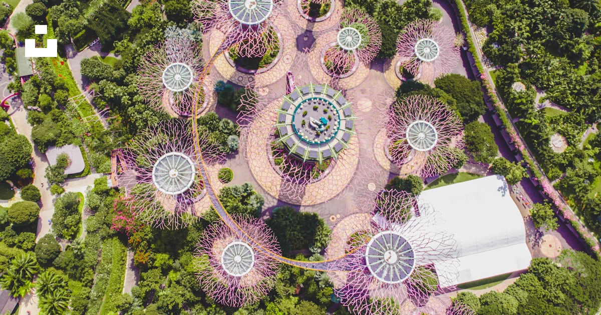 슈퍼 그루브 트리 가든스 바이 더 베이 Super Groove Tree Gardens By The Bay 사진