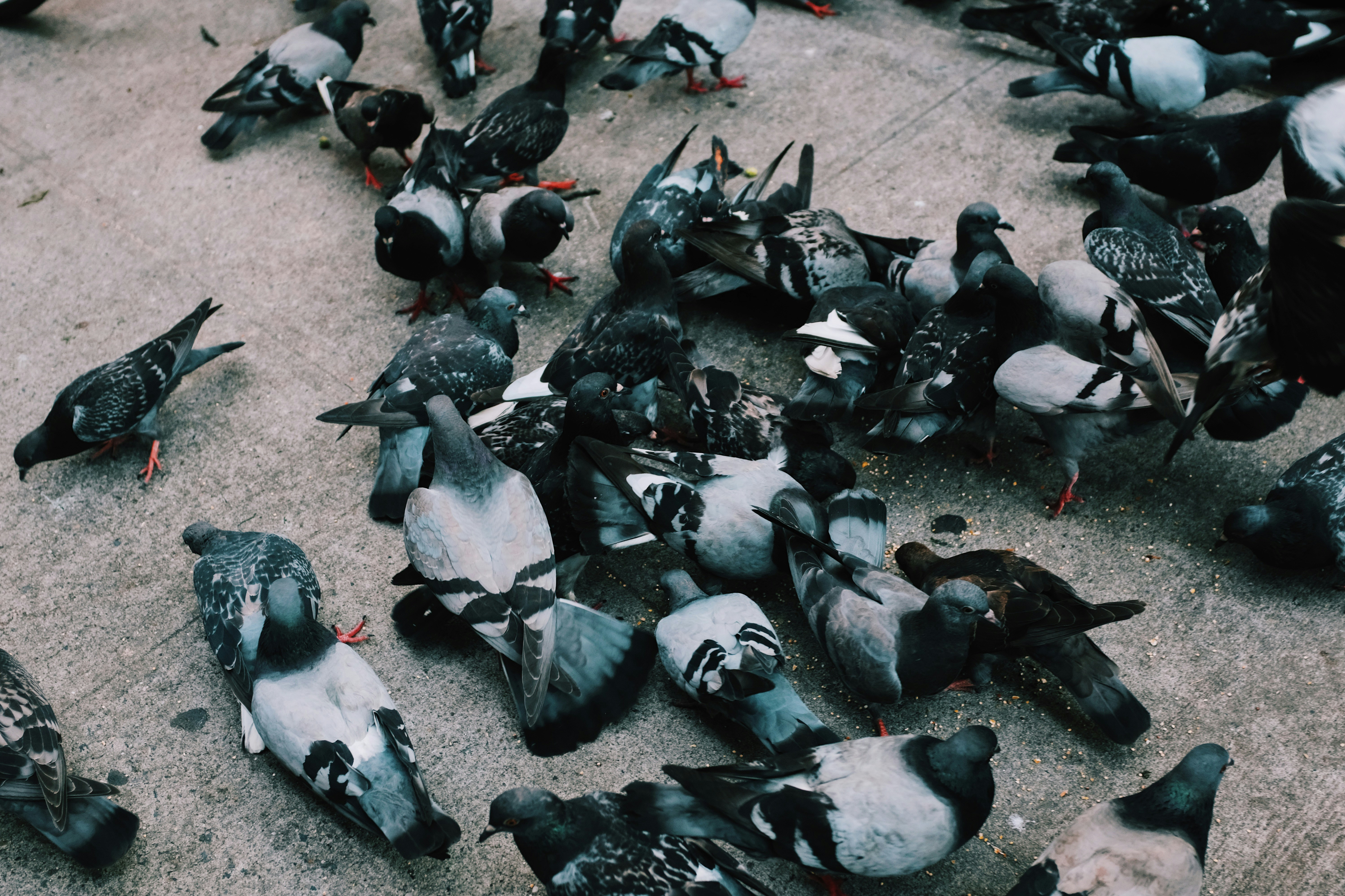 Blake Guidry (@blakeguidry) | Unsplash Photo Community