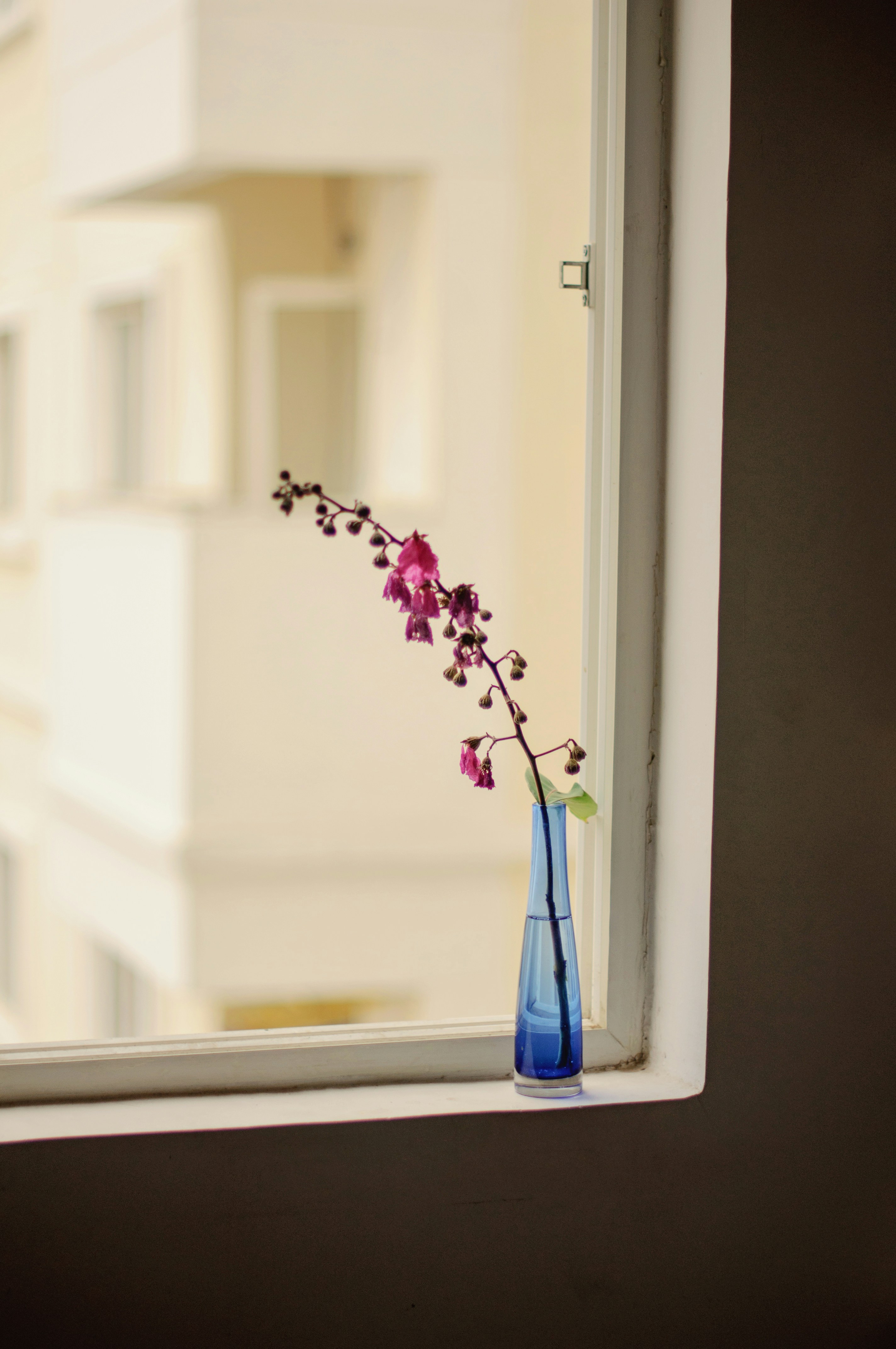 Blue vase with flowers near window