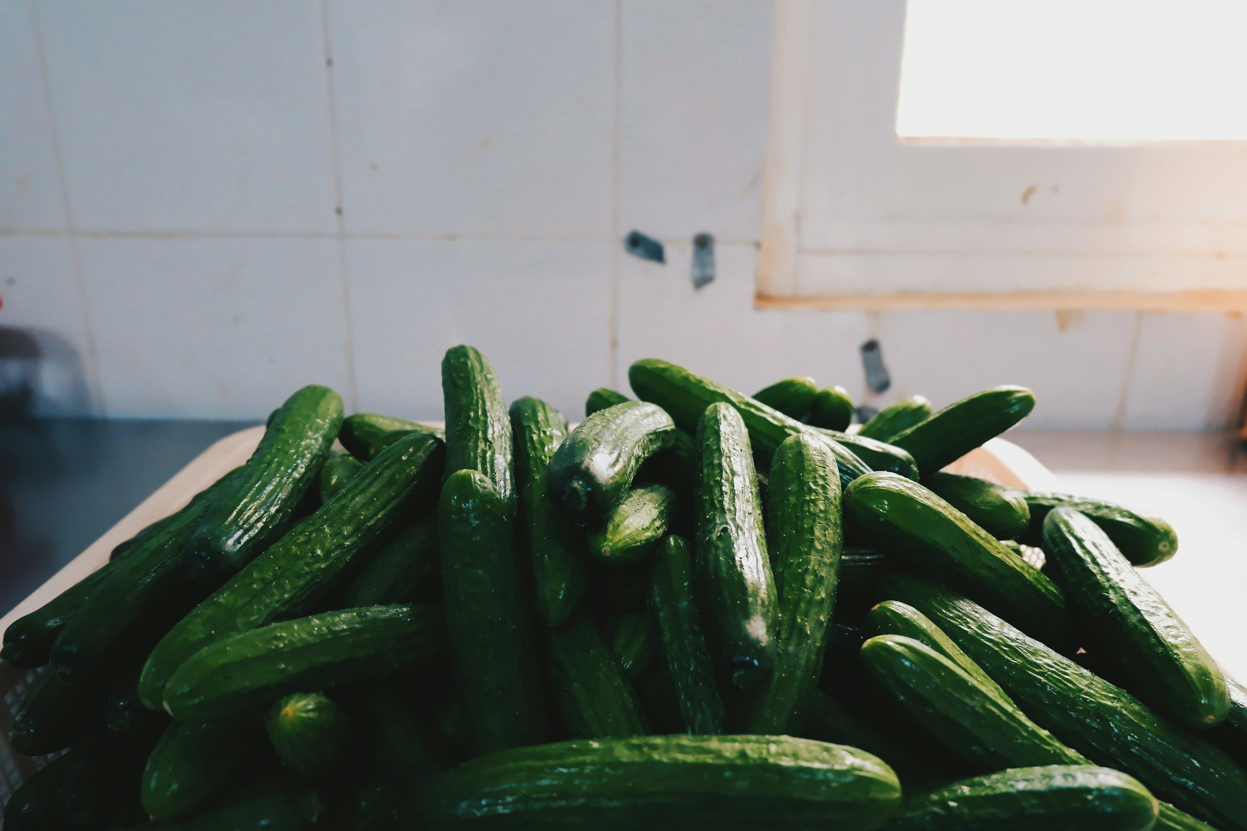 A vibrant pile of fresh cucumbers rests on a wooden surface, illuminated by natural light from a nearby window.