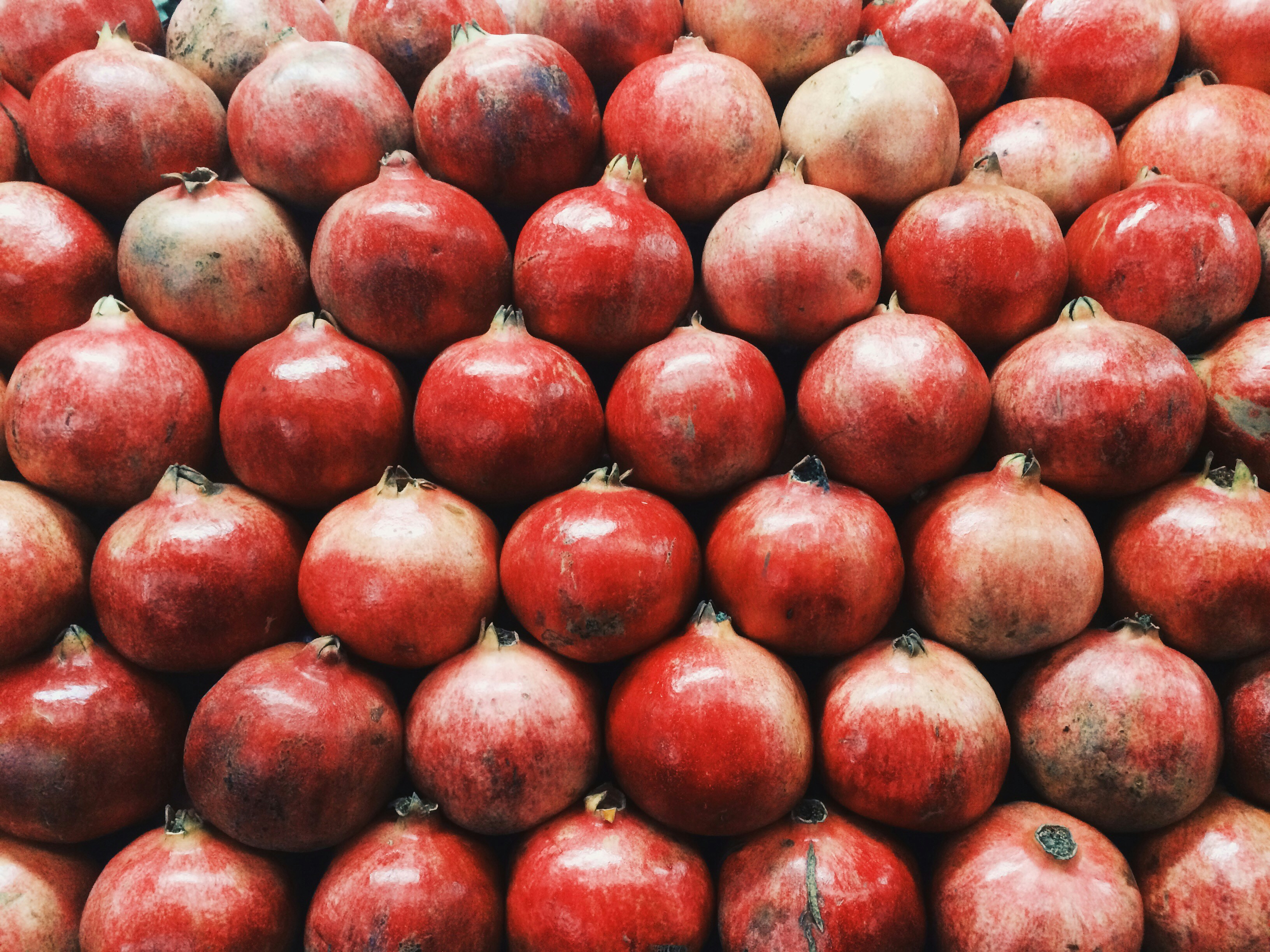 Rows of ripe pomegranates arranged in a grid pattern.