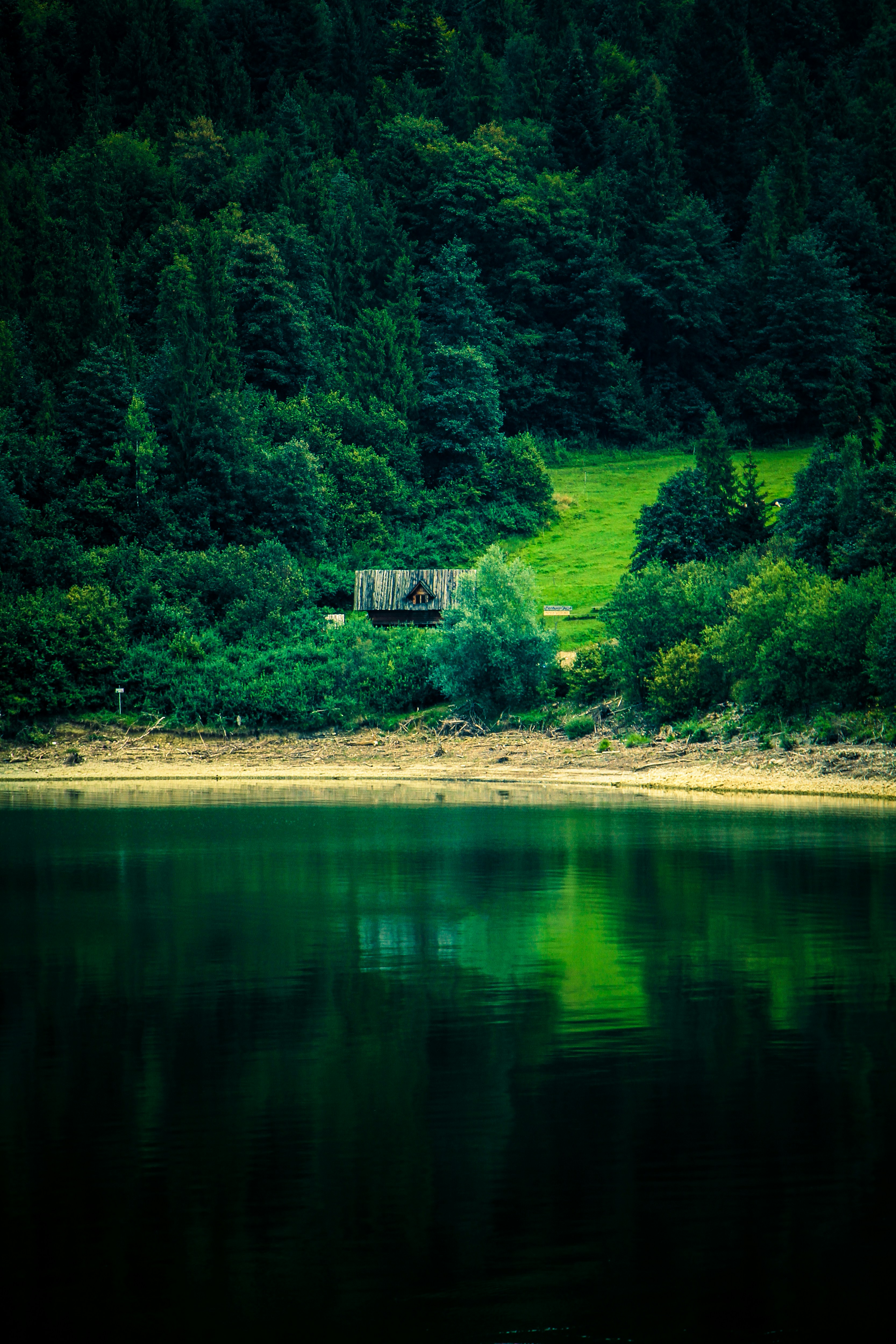A rustic cabin nestled among lush greenery beside a serene lake, reflecting the vibrant hues of nature. The calm waters enhance the peaceful atmosphere.