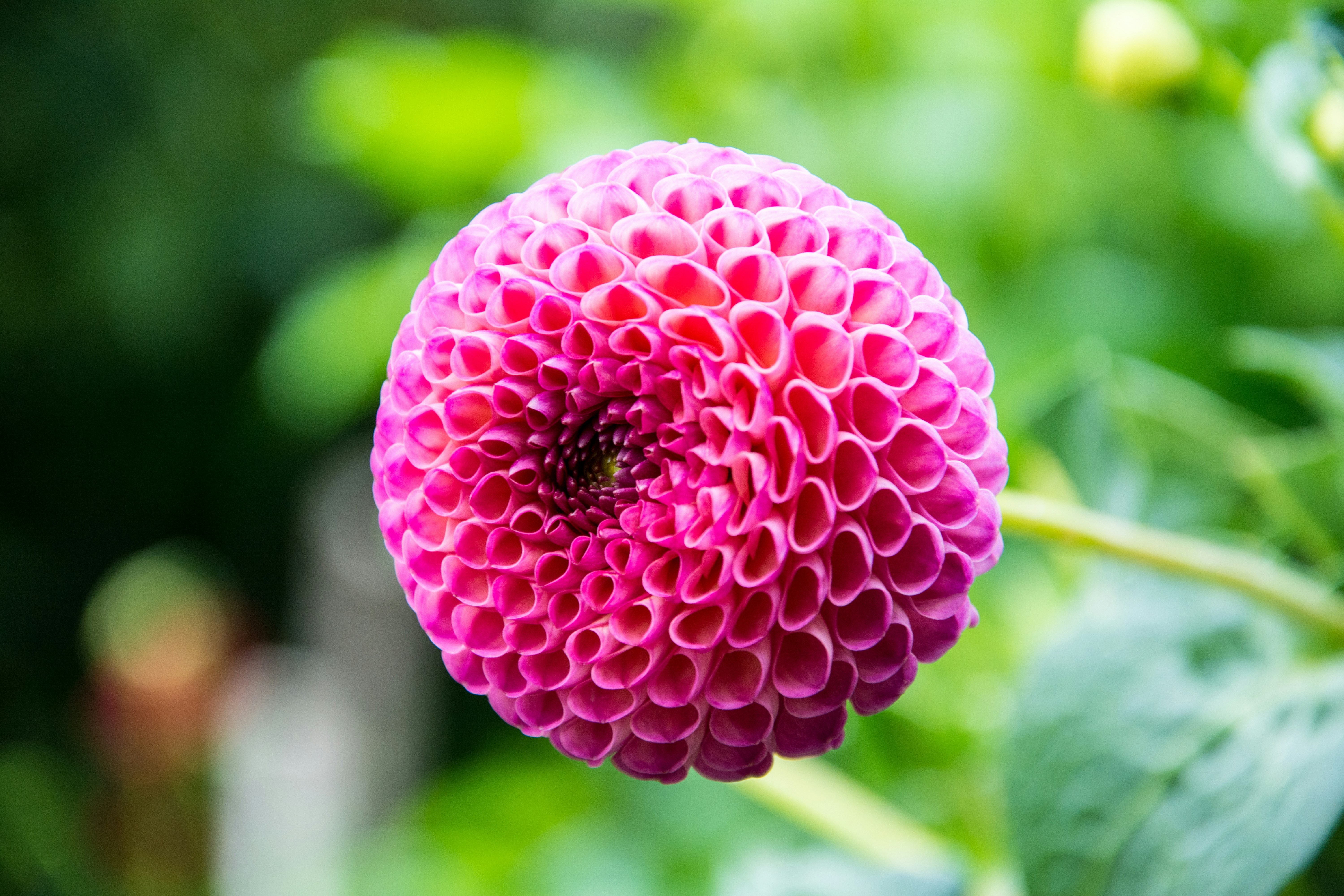 Matt Obee (@mattobee) | Unsplash Photo Community