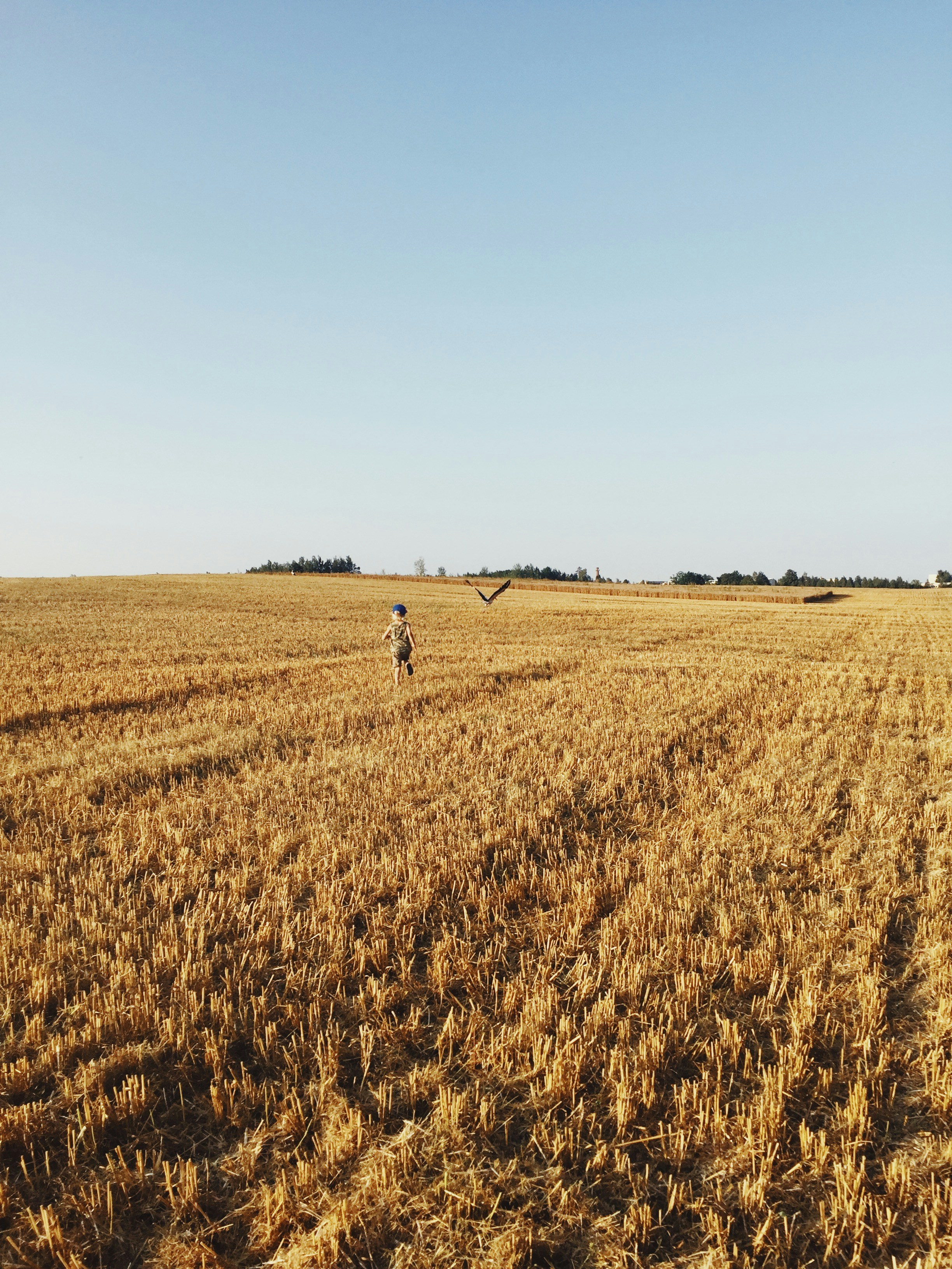Person running on farm field photo – Free Hämelase Image on Unsplash