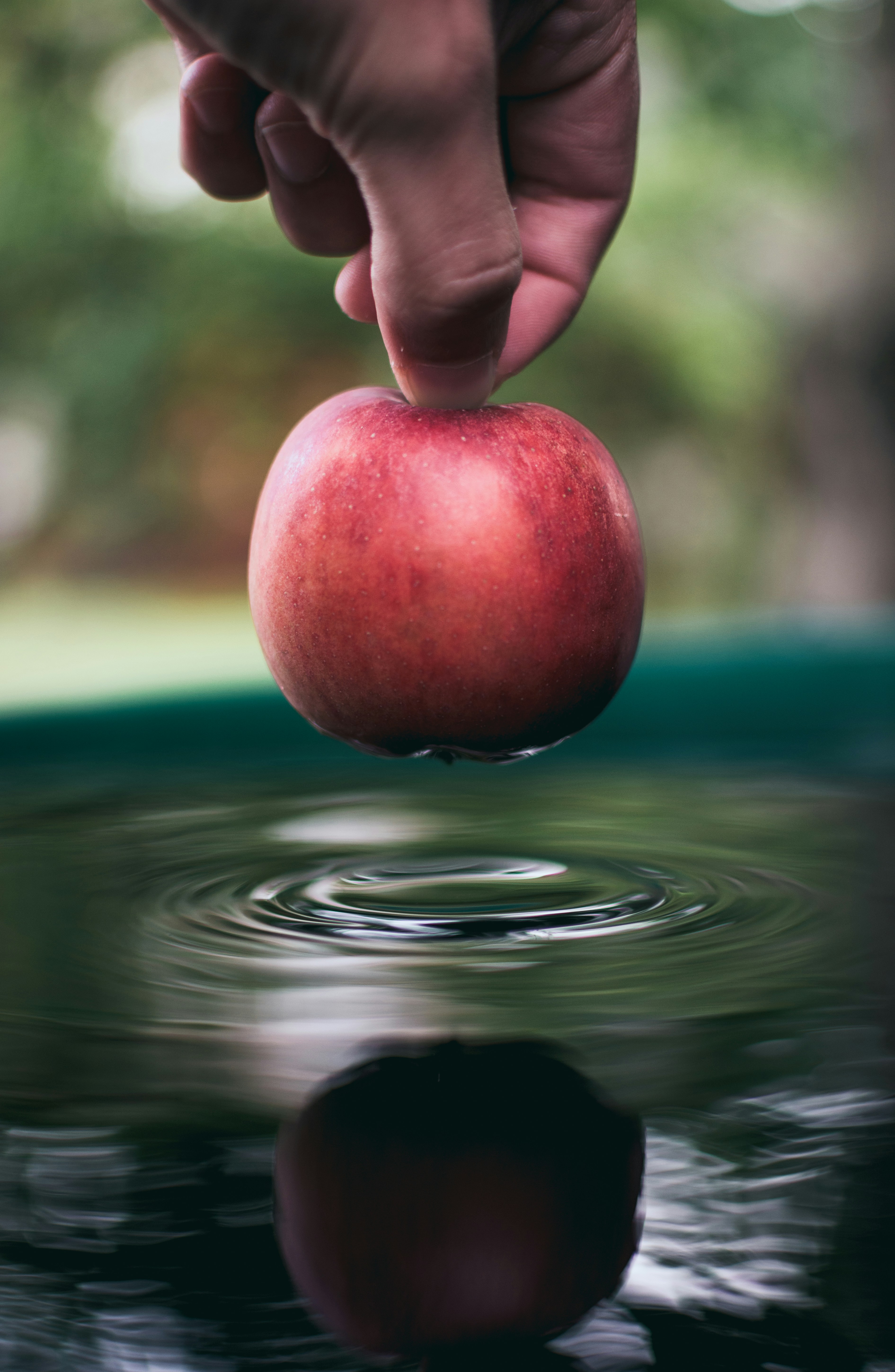 Hovering Apple Over Quiet Water: A Moment of Suspended Ripples