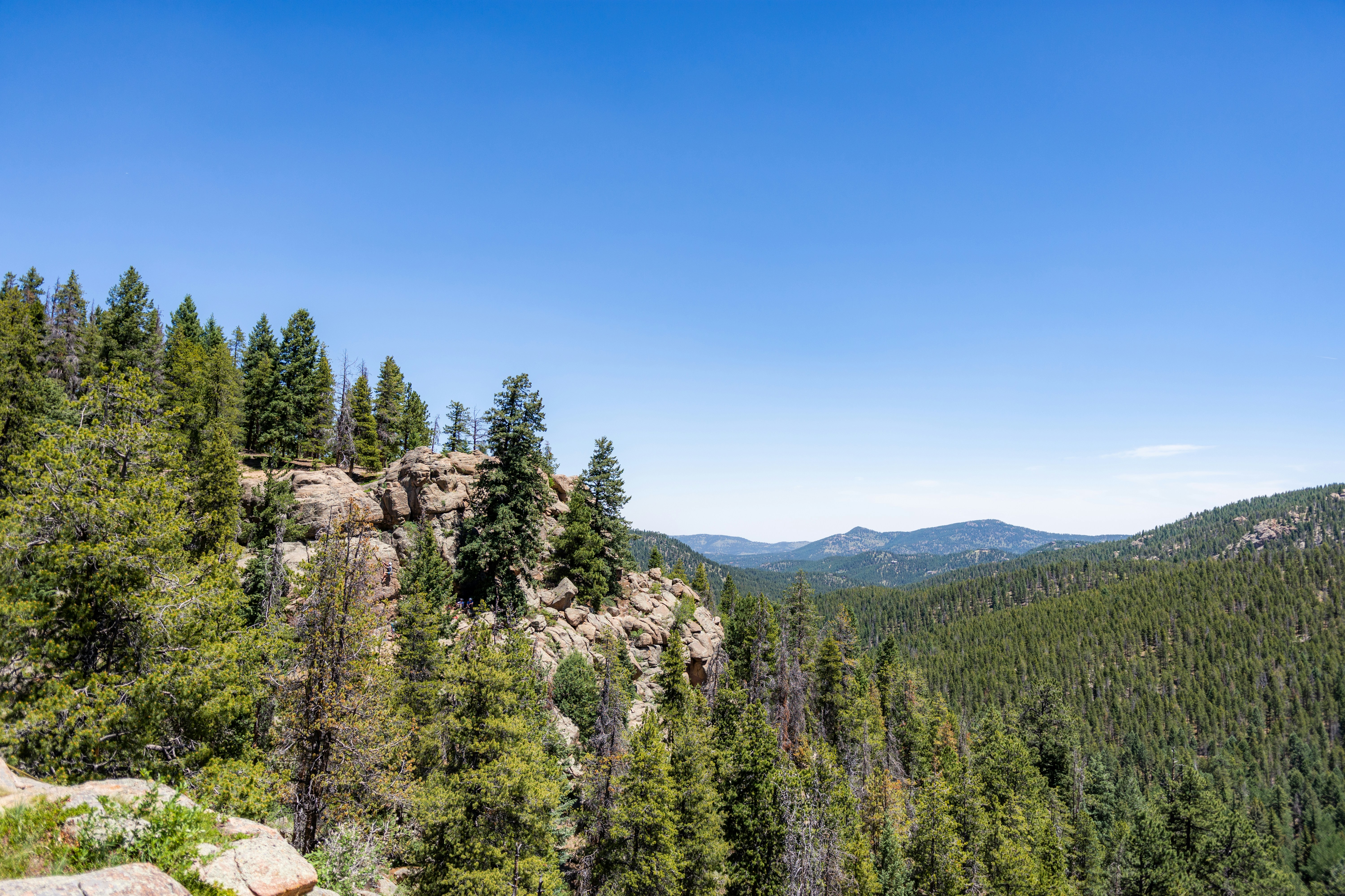 Christopher Jolly (@chris_jolly) | Unsplash Photo Community