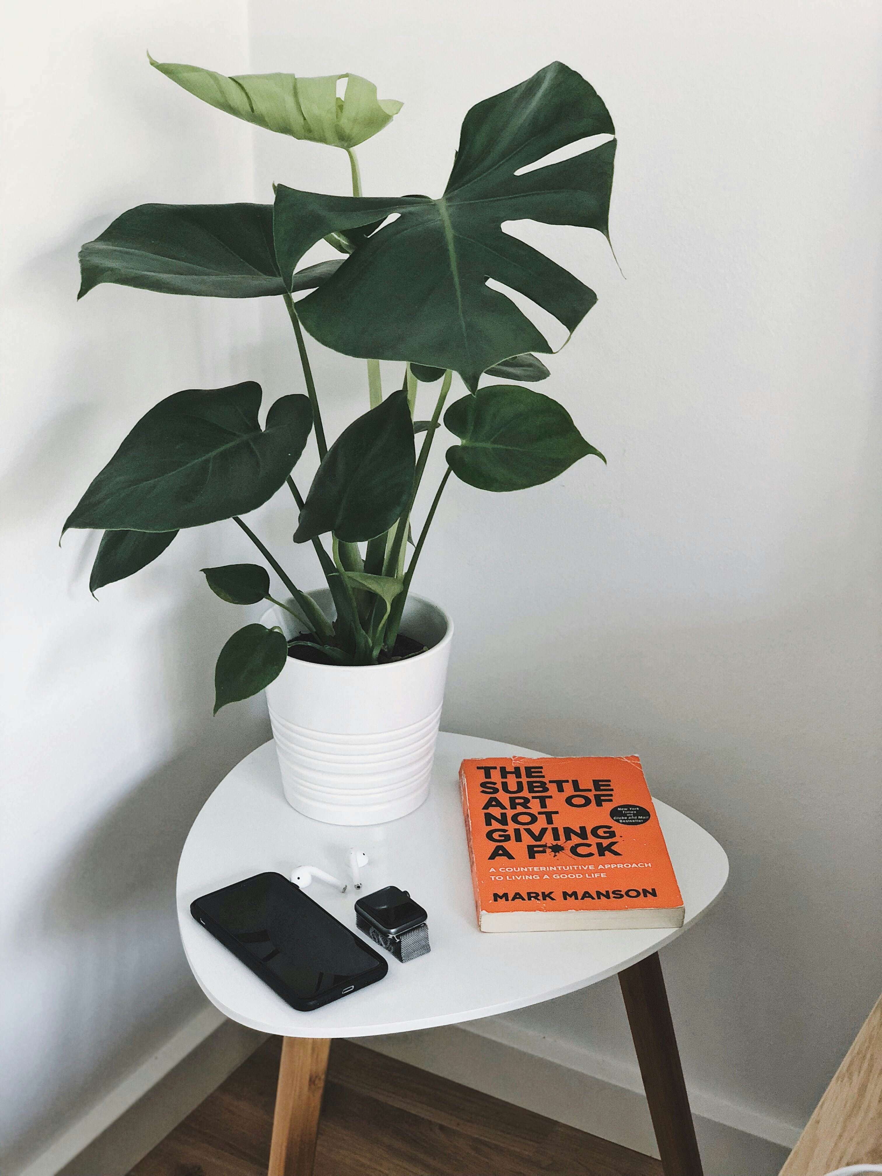 Monstera plant in a white pot beside a book and smartphone on a minimalist table.
