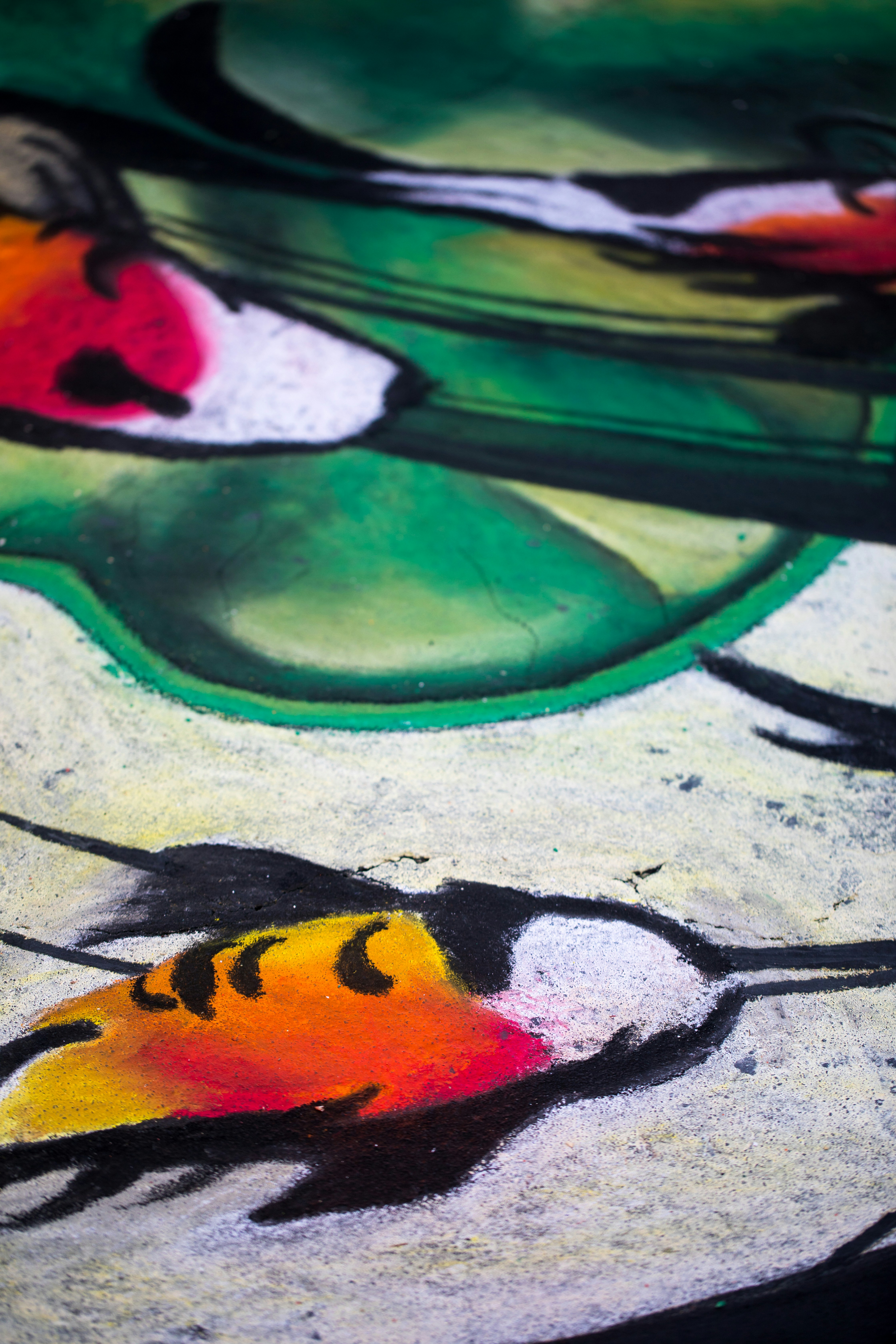 Neon Beak and Verdant Curves: a Macro Graffiti Moment