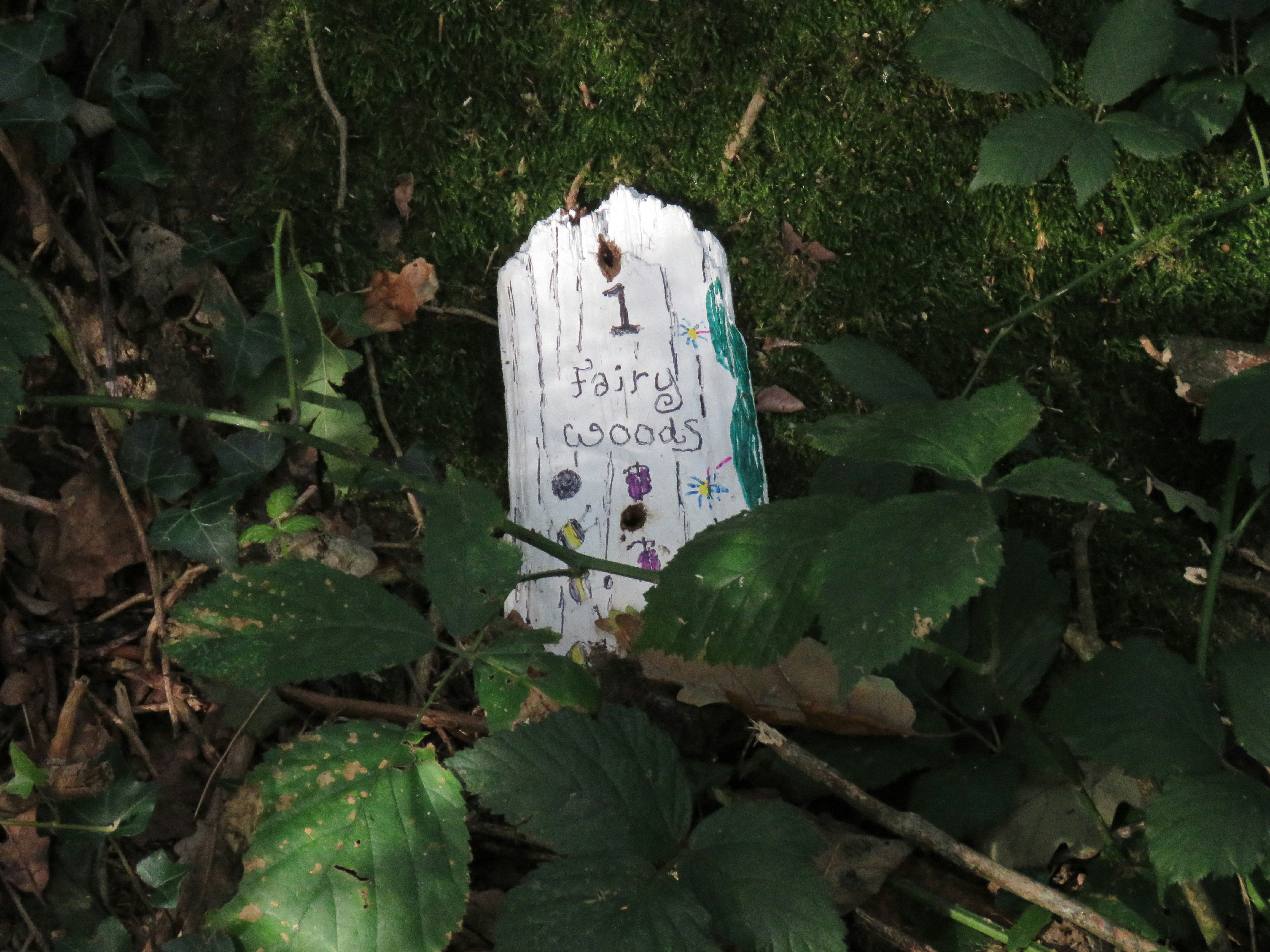 Weathered marker in a leafy understory
