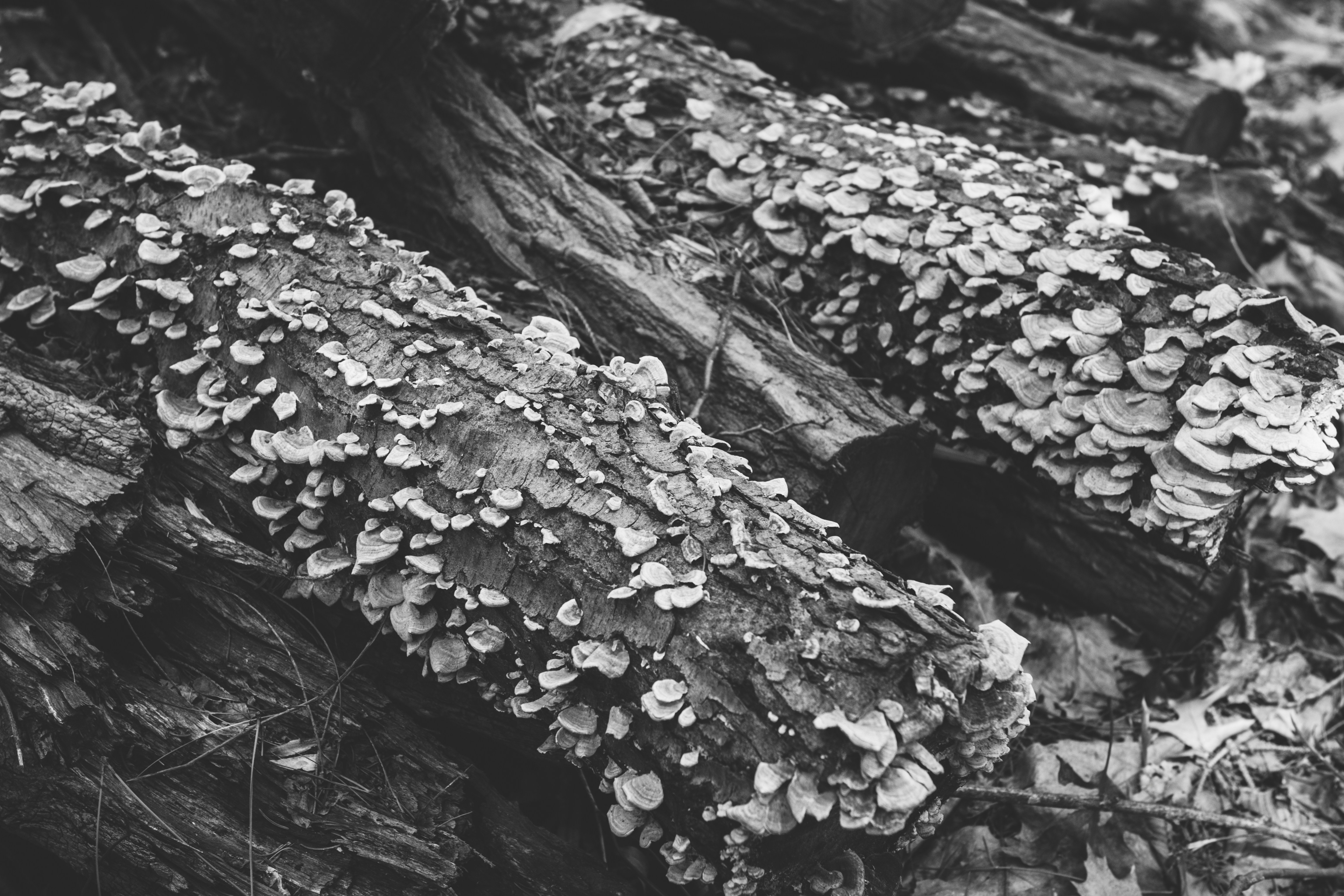 Beth Ireland (@bethirelandphotography) | Unsplash Photo Community