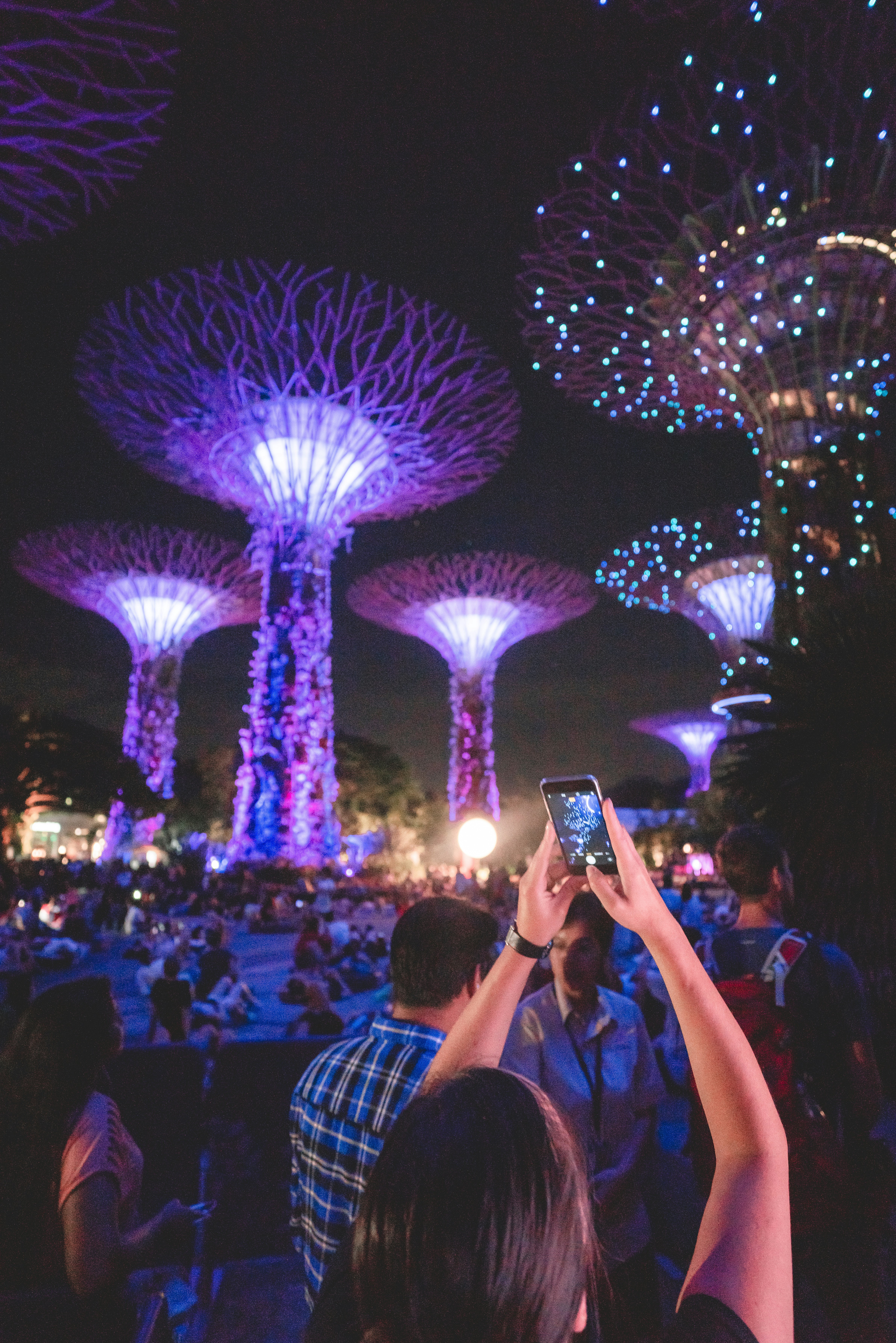 Pocket Snapshot Beneath the Neon Supertrees at Night