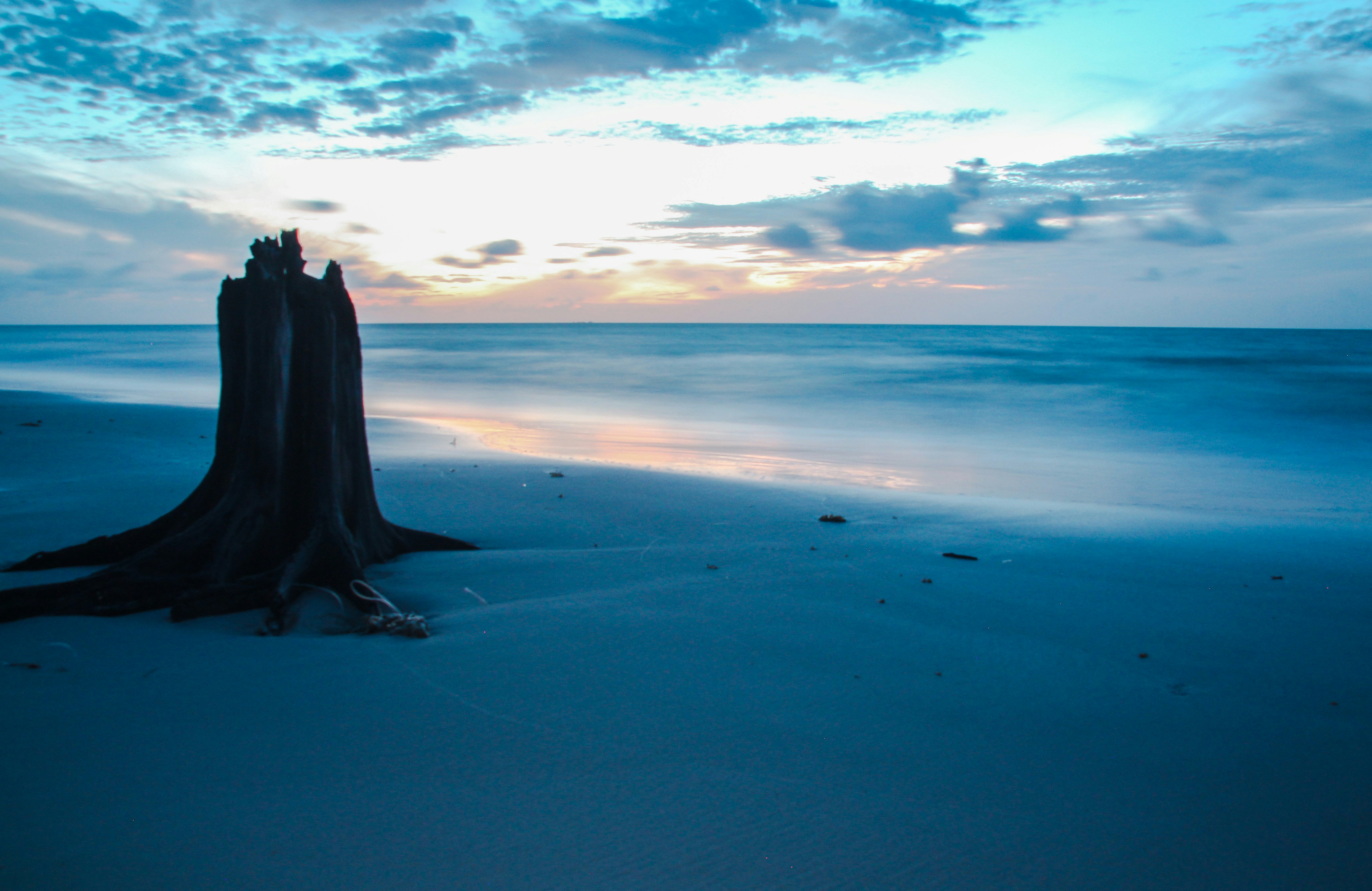 Weathered tree stump on a tranquil beach at sunset with calm waves and pastel skies.