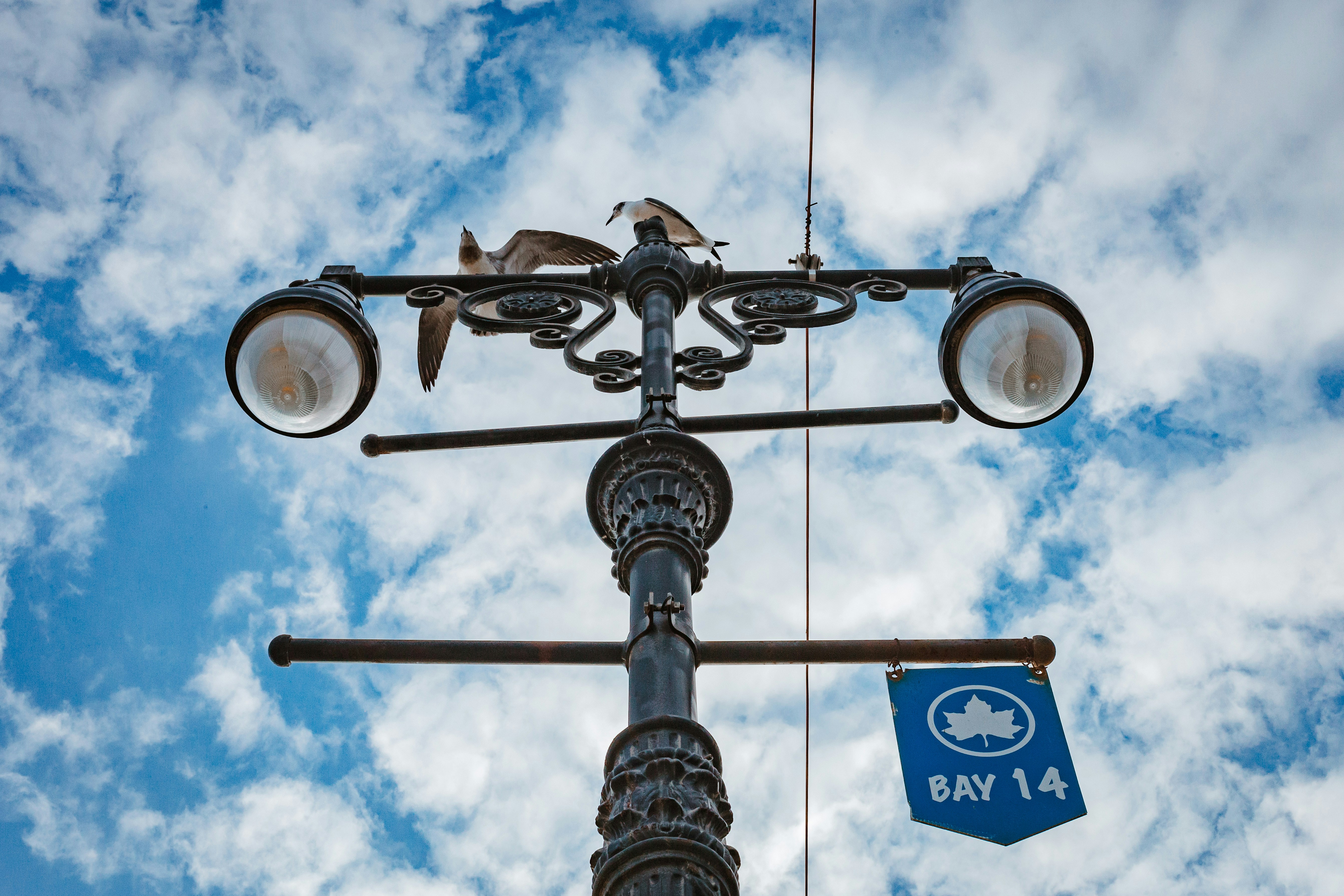 Jessica D. Vega (@jessicadvega) | Communauté photos Unsplash