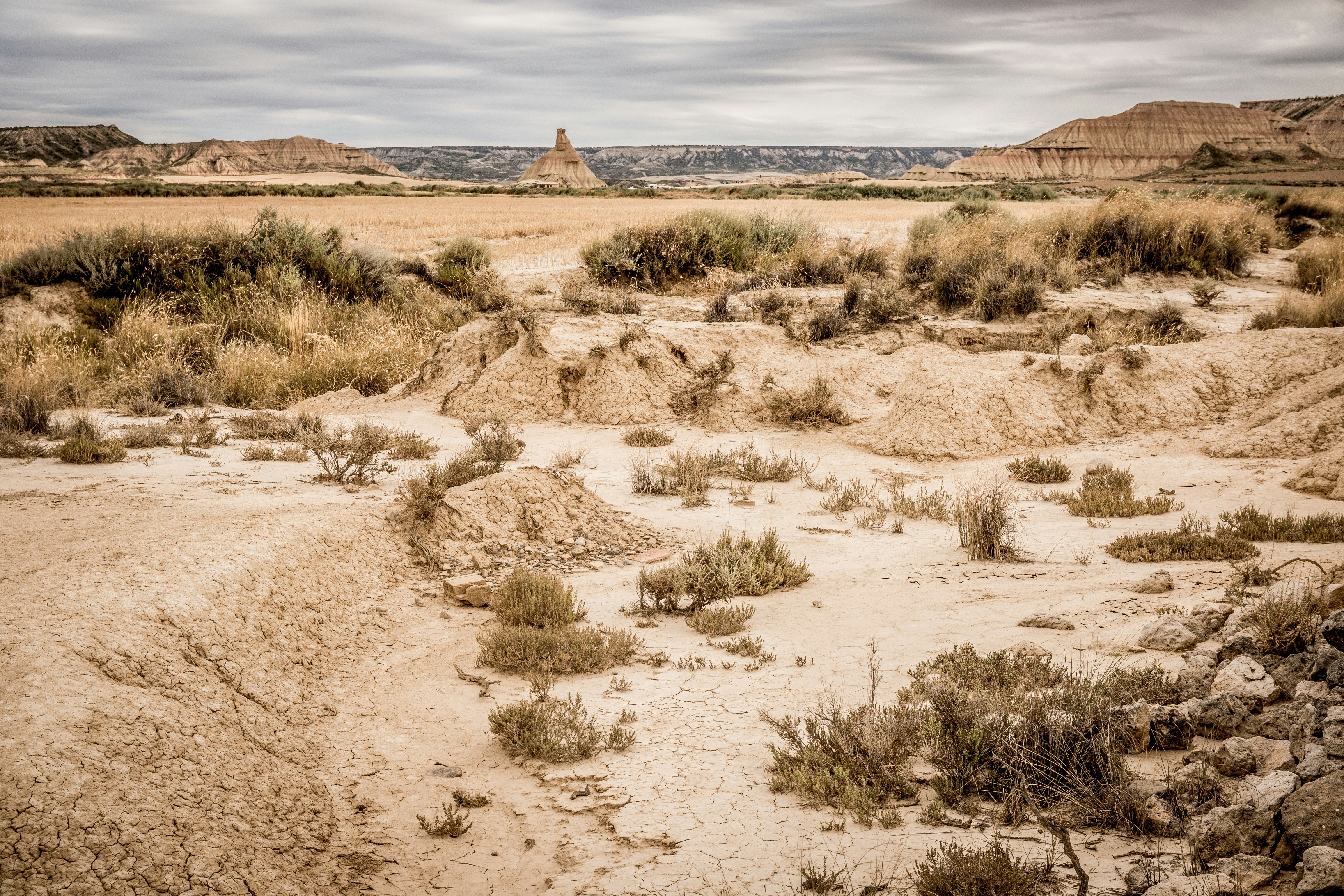 Desert landscape with rocky terrain and sparse vegetation under a cloudy sky.