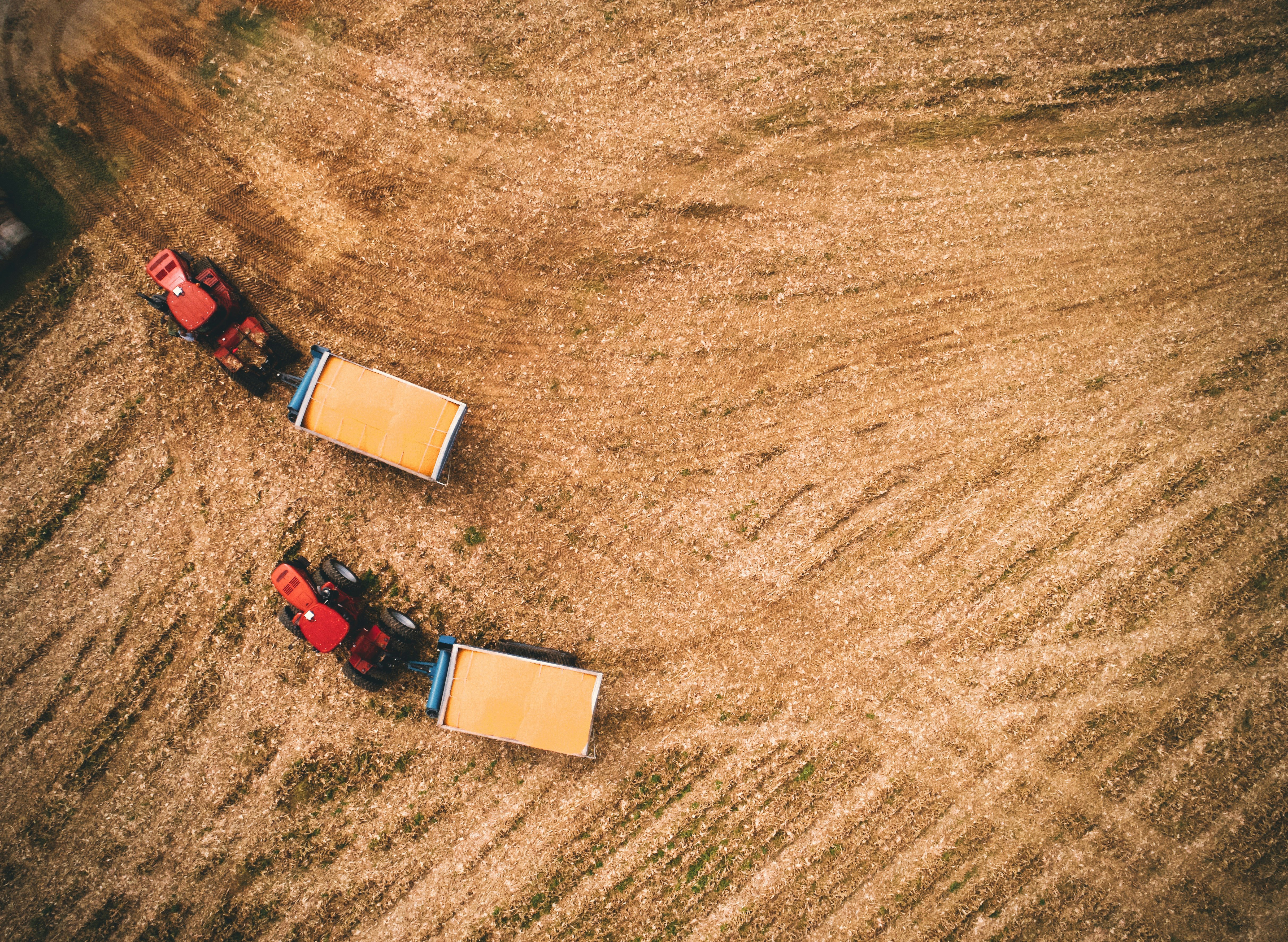 Red tractors on field photo – Free Fall Image on Unsplash