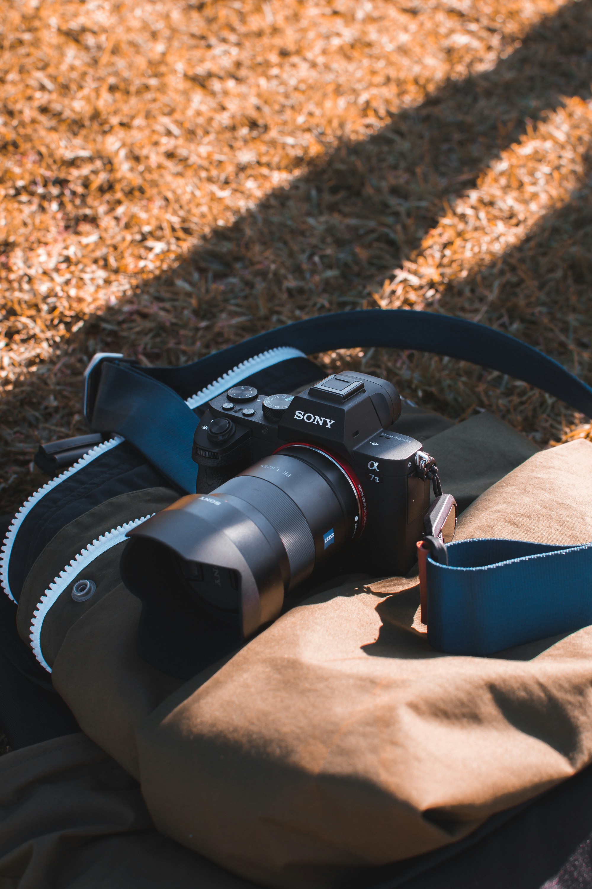 Sunlit Telephoto Moment: Sony Alpha on Pine-Needle Ground