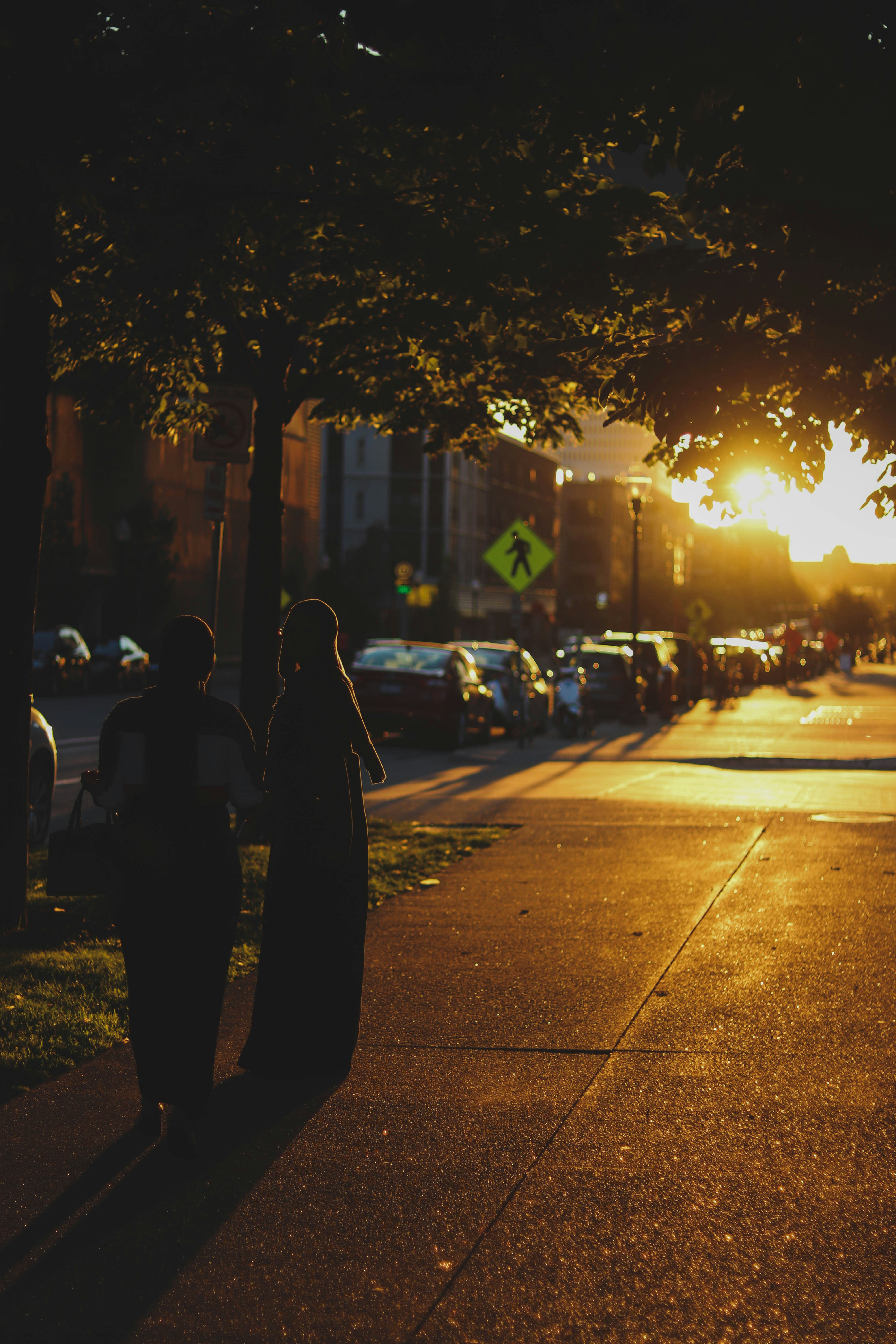 Two figures walking side by side on a sunlit sidewalk, framed by trees as the sun sets in the background.