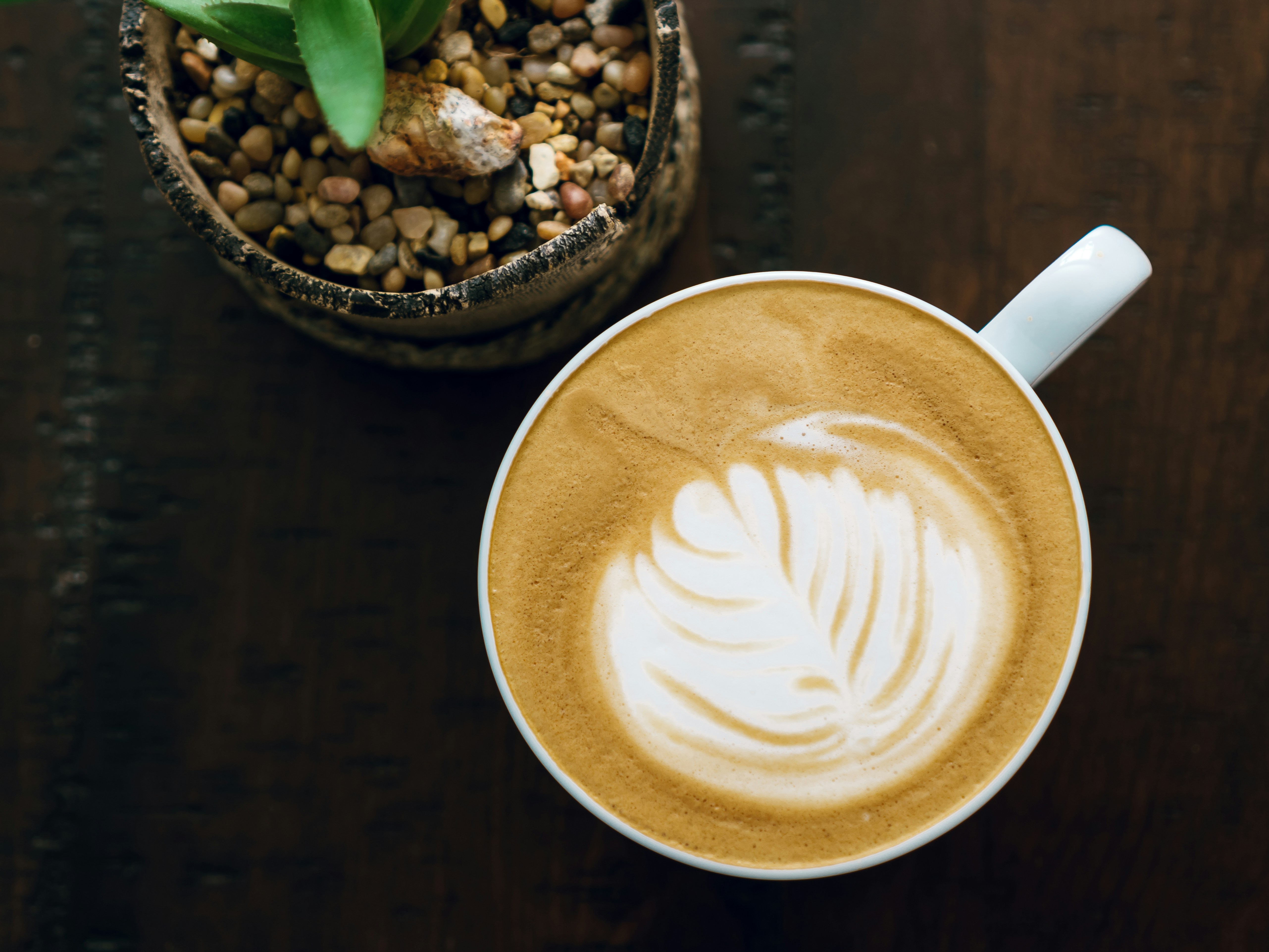 Top-Down Rosette: A Quiet Moment with Latte Art