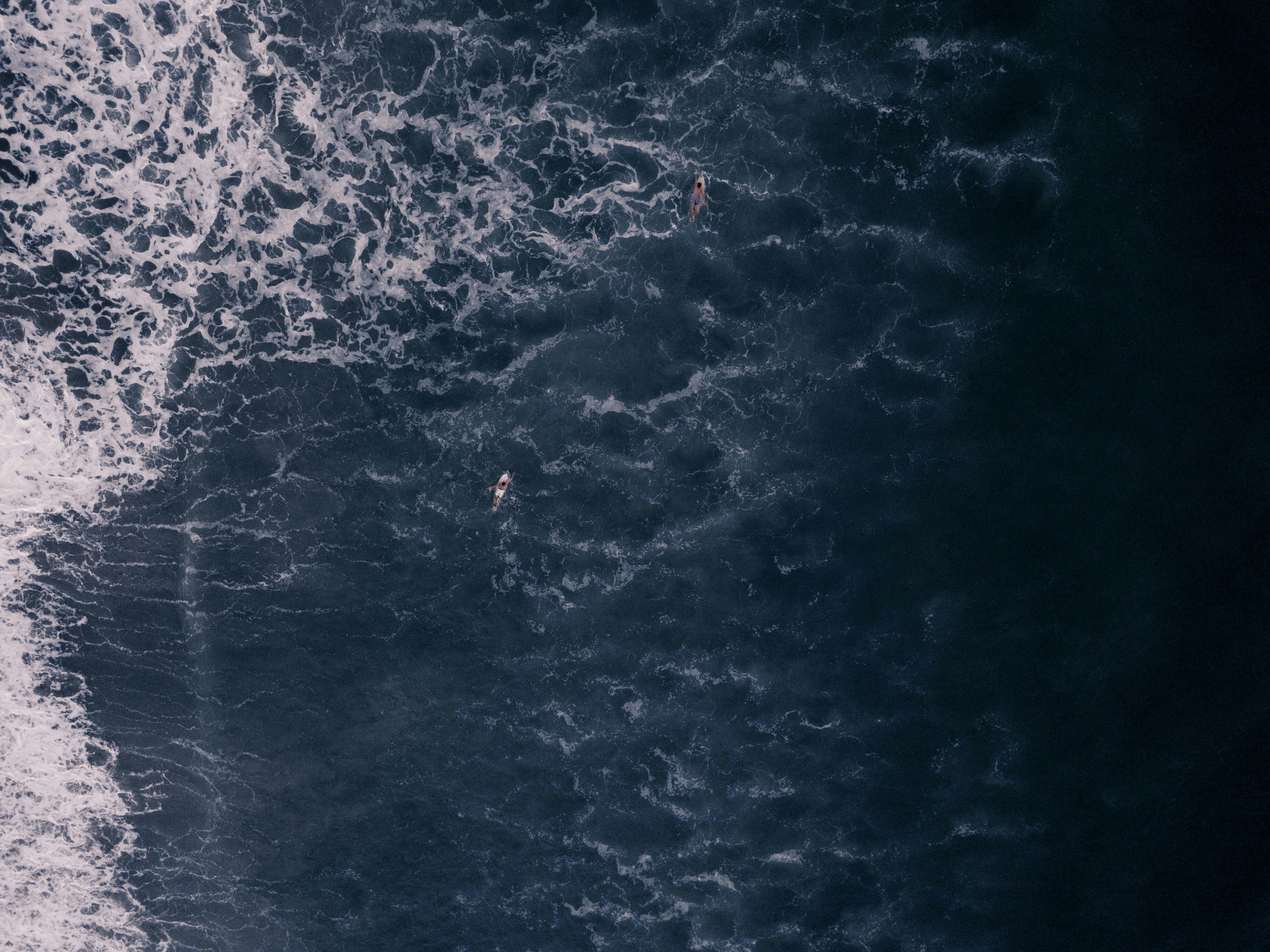 Oseur : définition de « oseur » | Dictionnaire - La langue française