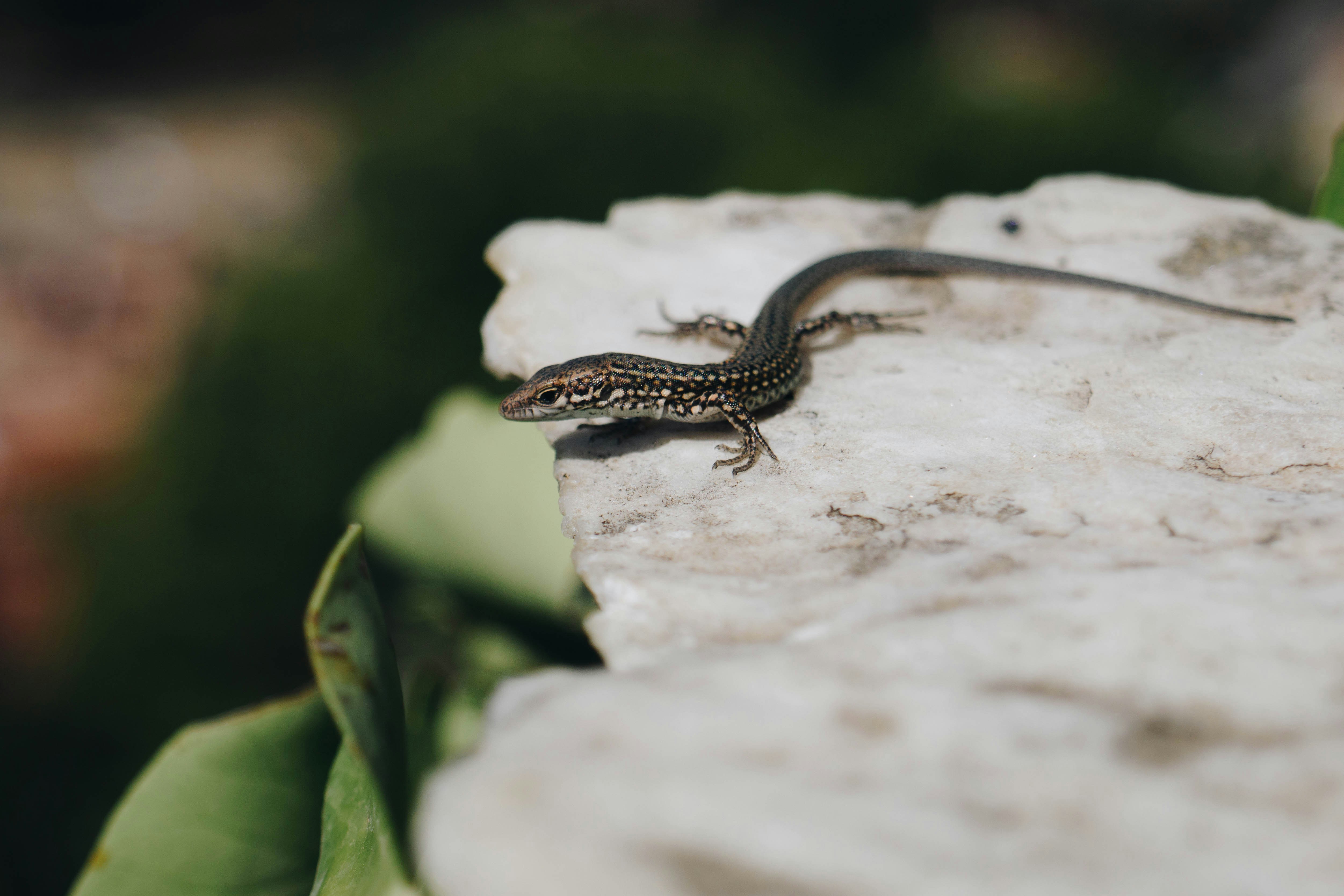 Daniel Brunsteiner (@medanielb) | Unsplash 사진 커뮤니티