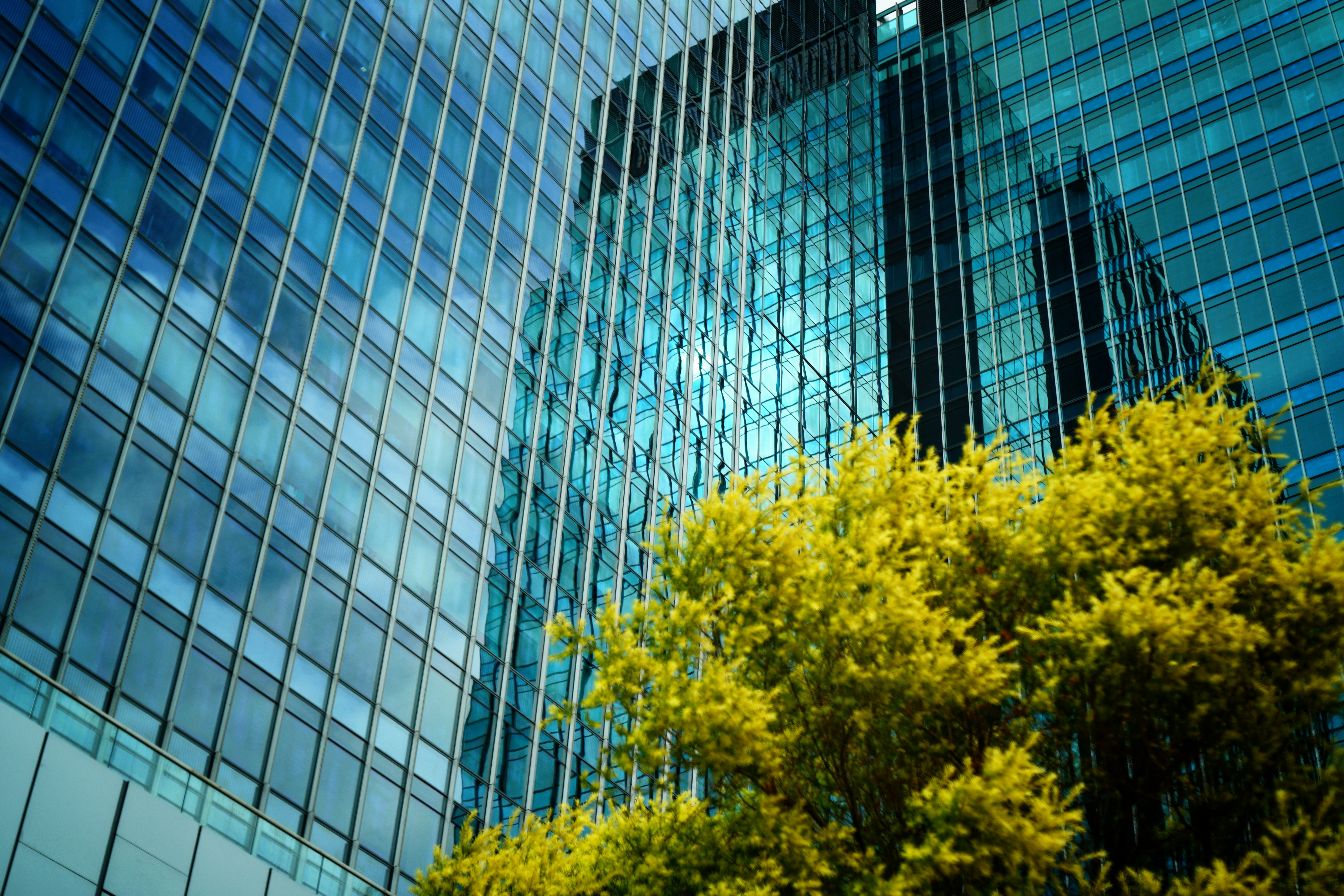 Glassy skyscrapers reflecting the sky and surrounding trees, showcasing the harmony between nature and urban architecture.