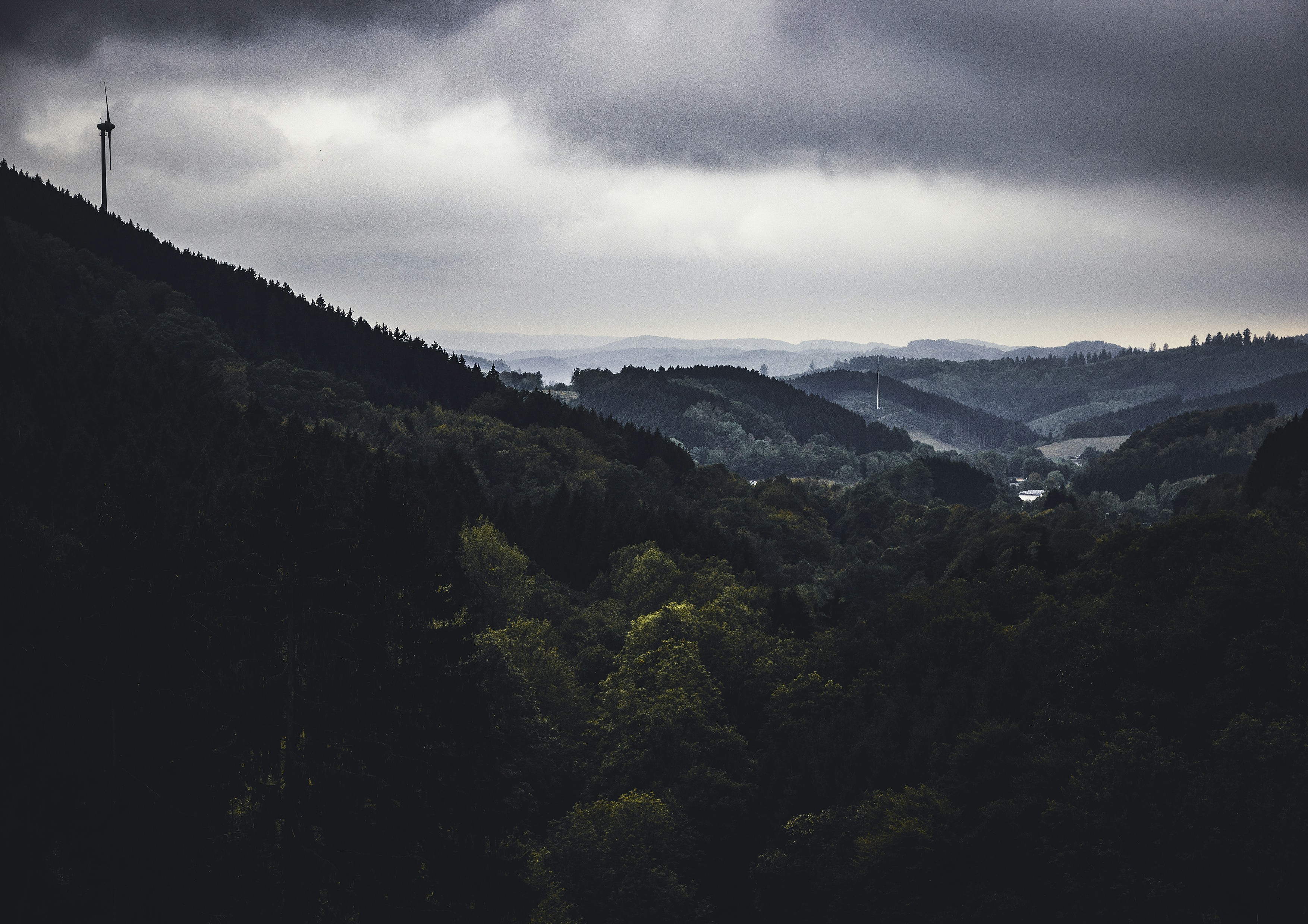 Cloud-covered hills with a densely forested valley and distant wind turbines.