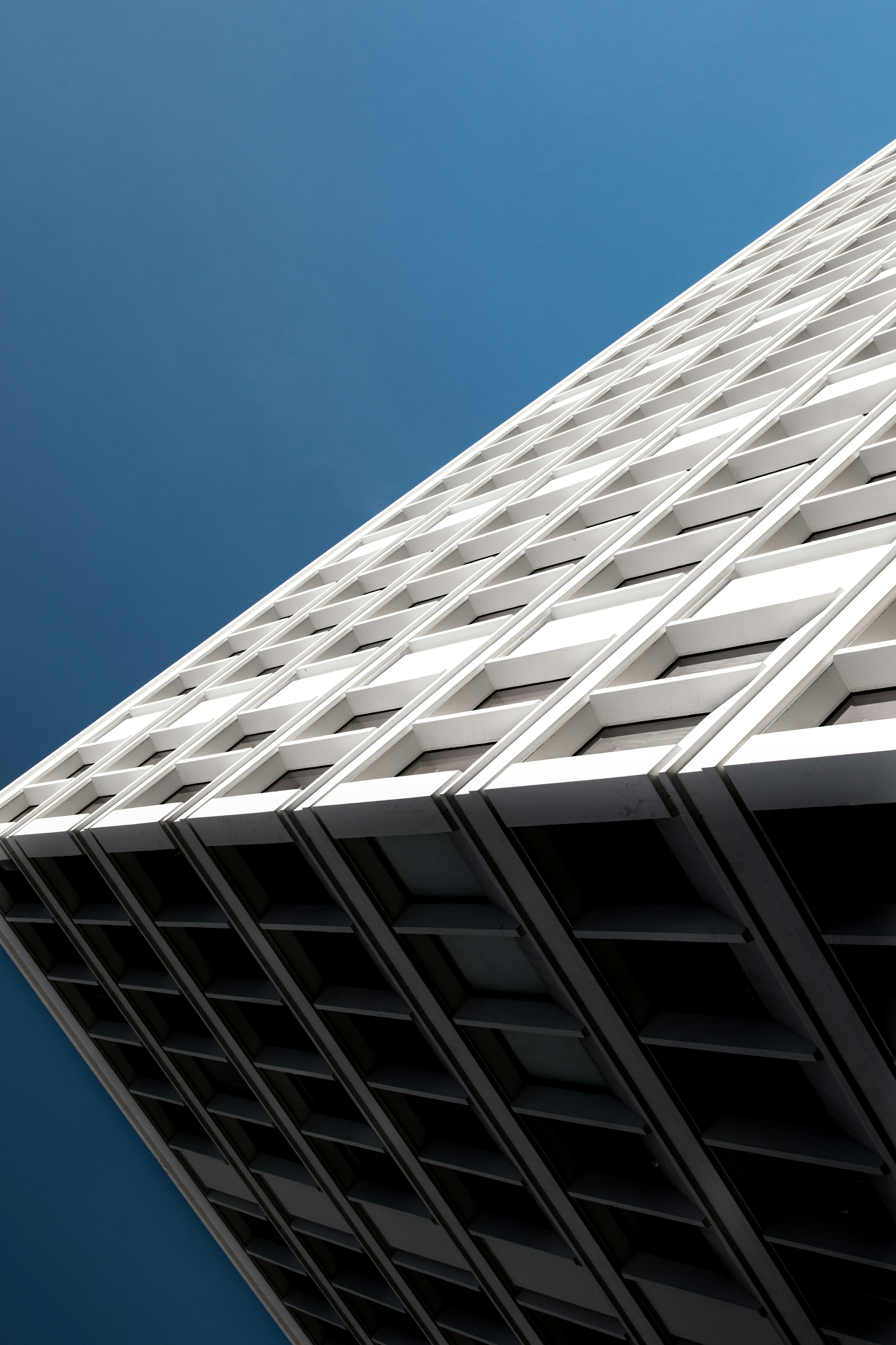 Diagonal Gridline: A Bold Facade Reaches Toward the Sky