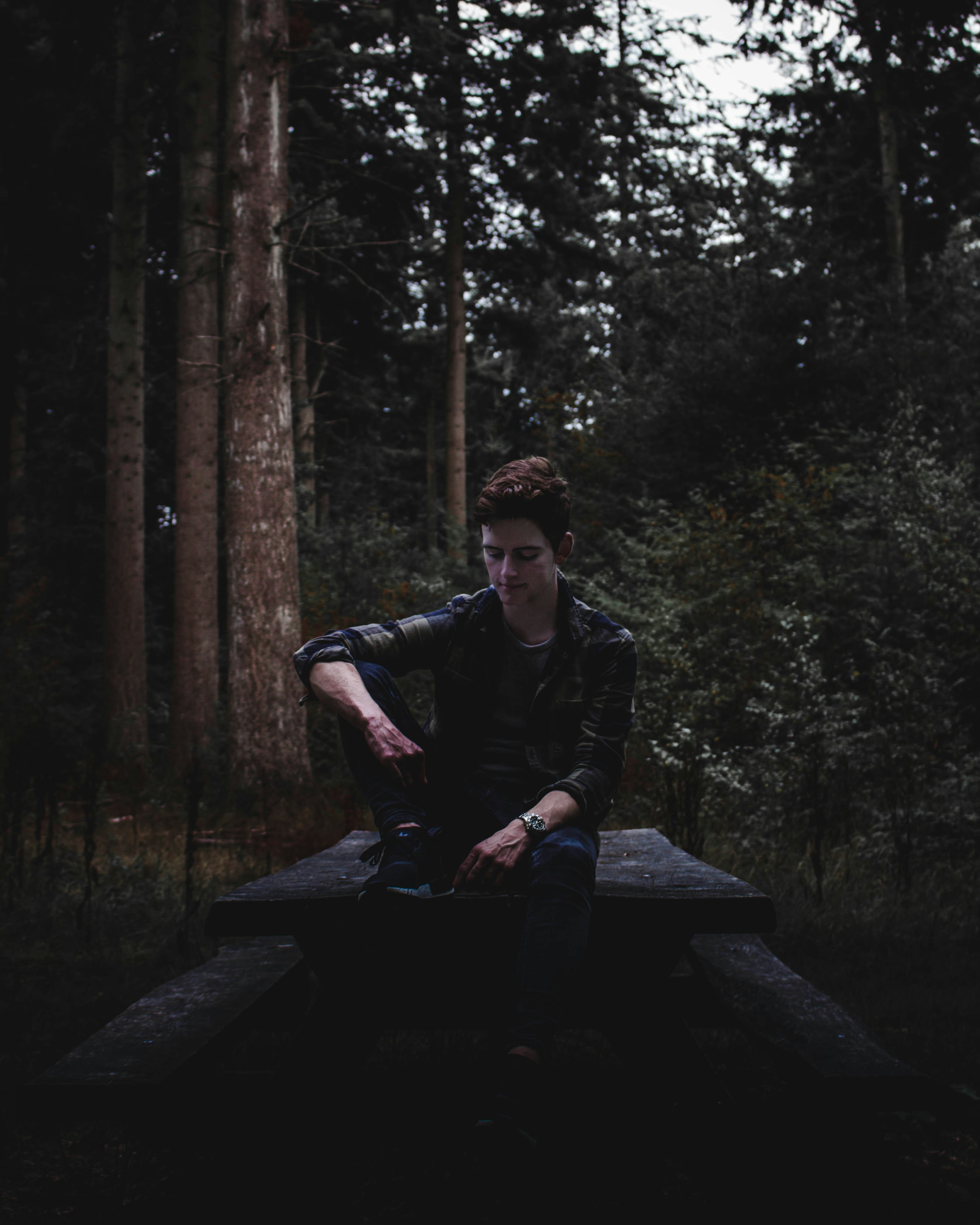 Whispered Quiet: Portrait on a Weathered Forest Bench