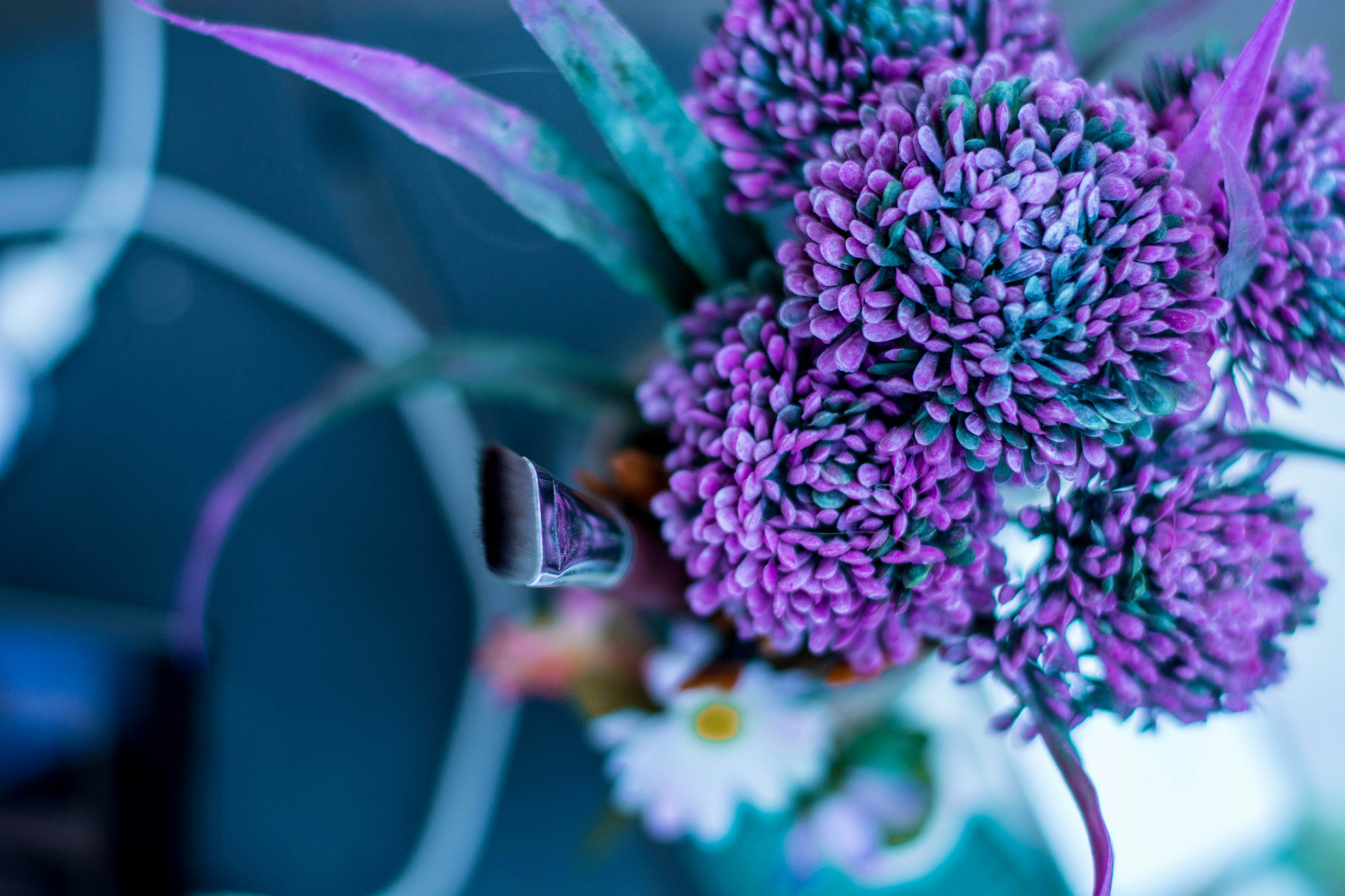 Gerry Cherry (@cheresha) | Komunitas Foto Unsplash