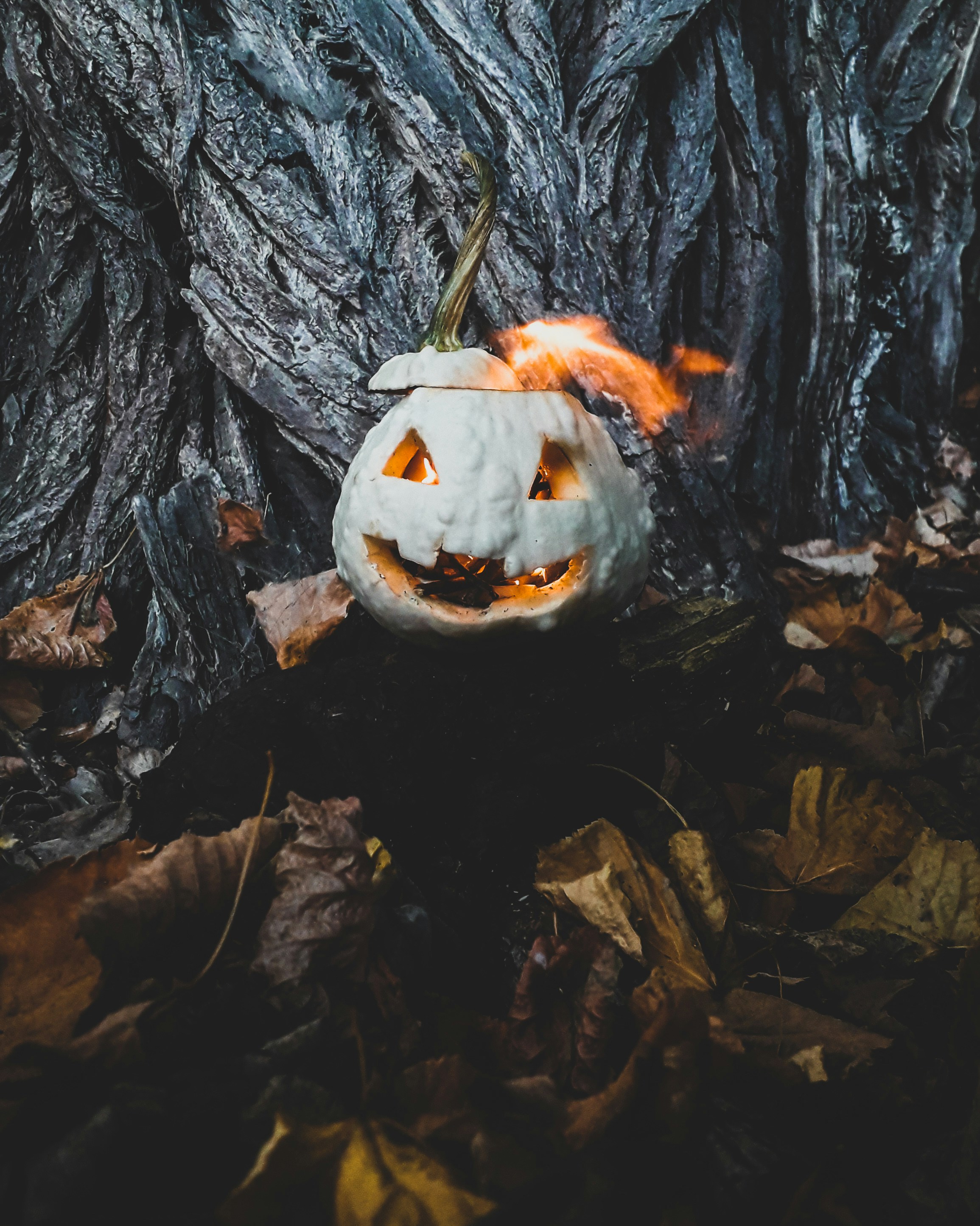 Grey Jack-O-Lantern photo – Free Person Image on Unsplash