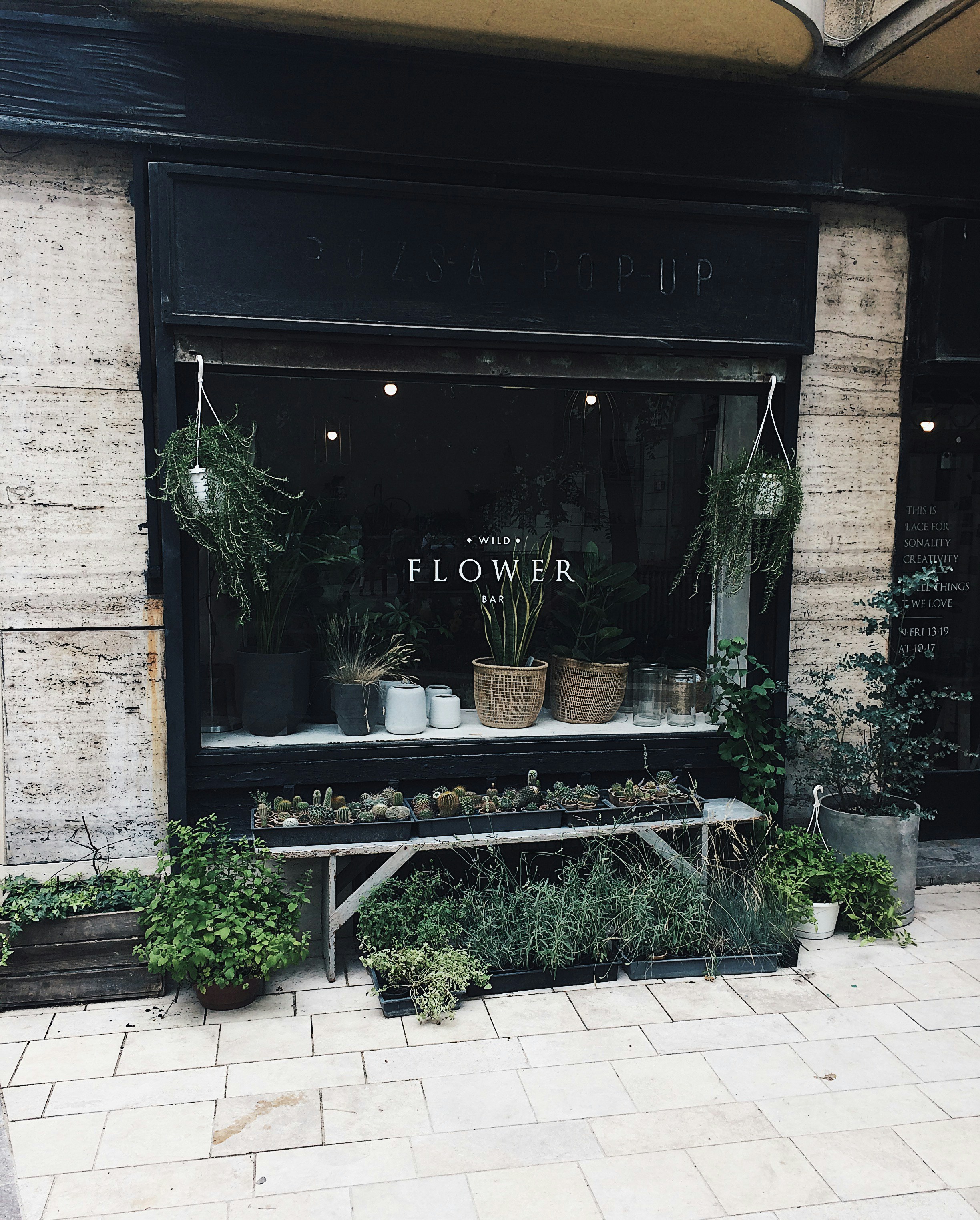 Black wooden flower shop front photo – Free Black Image on Unsplash
