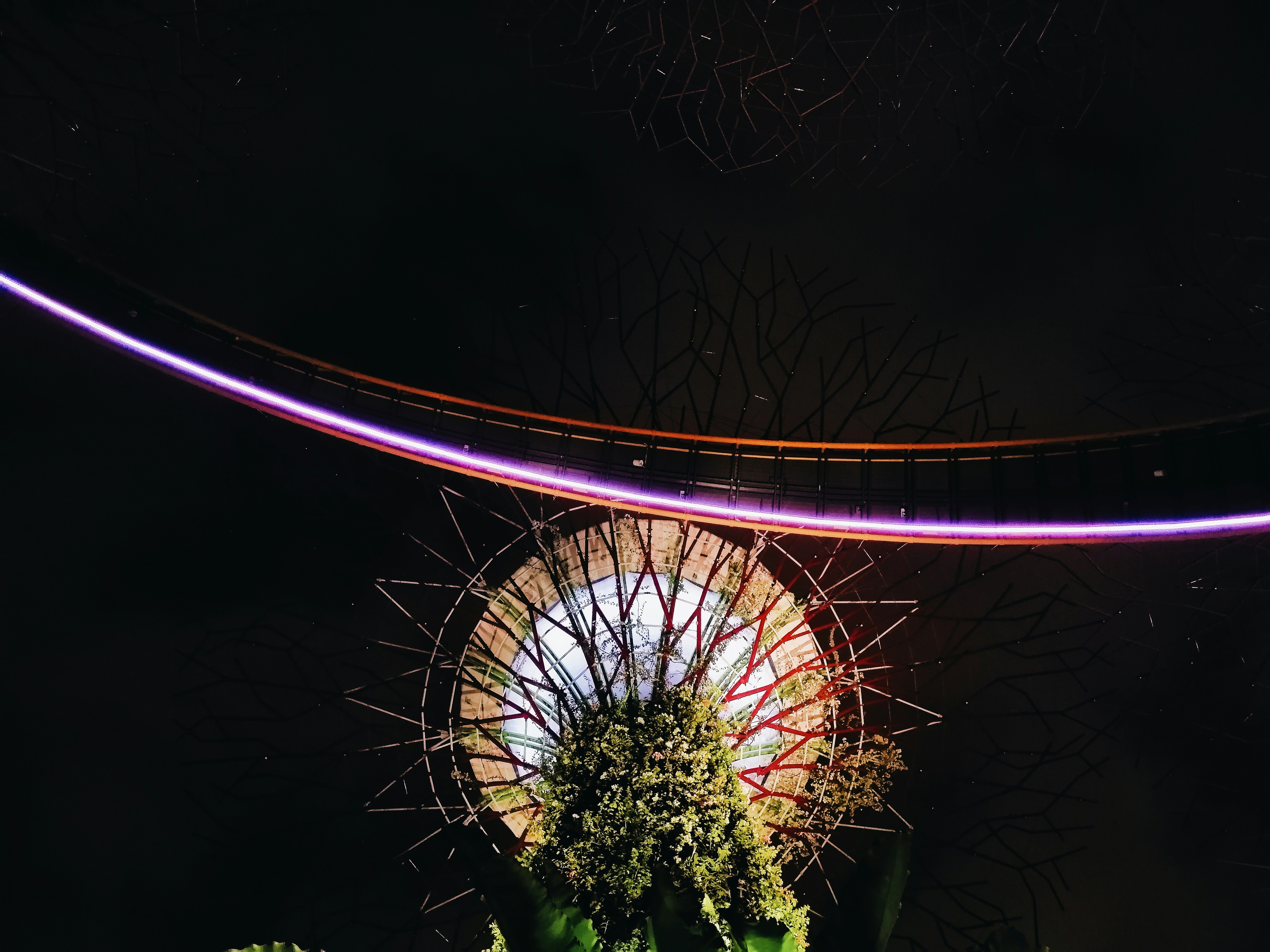 A vibrant display of illuminated structures intertwining with lush greenery under a night sky, showcasing the harmony between technology and nature.