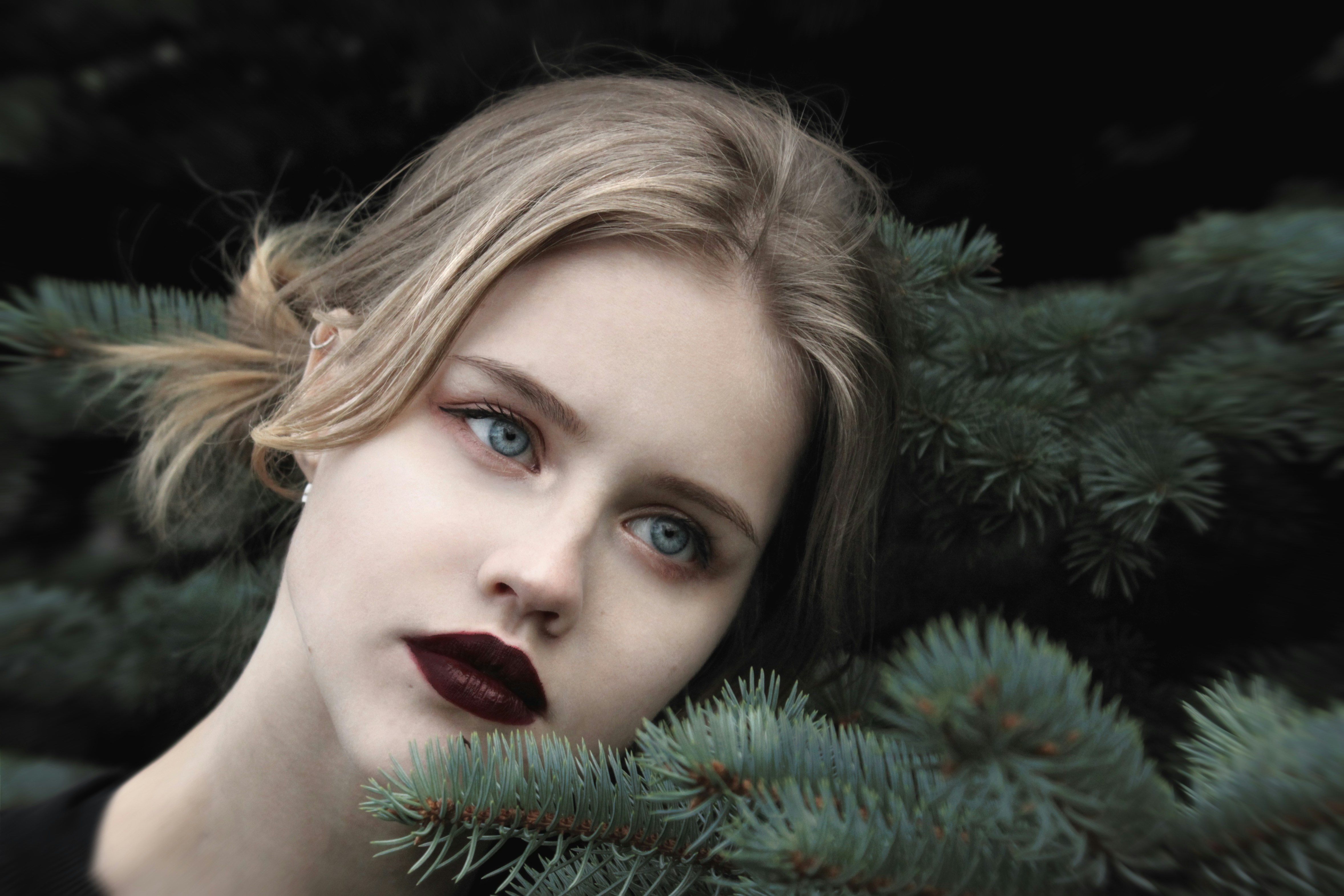 Silvered gaze through evergreen frames