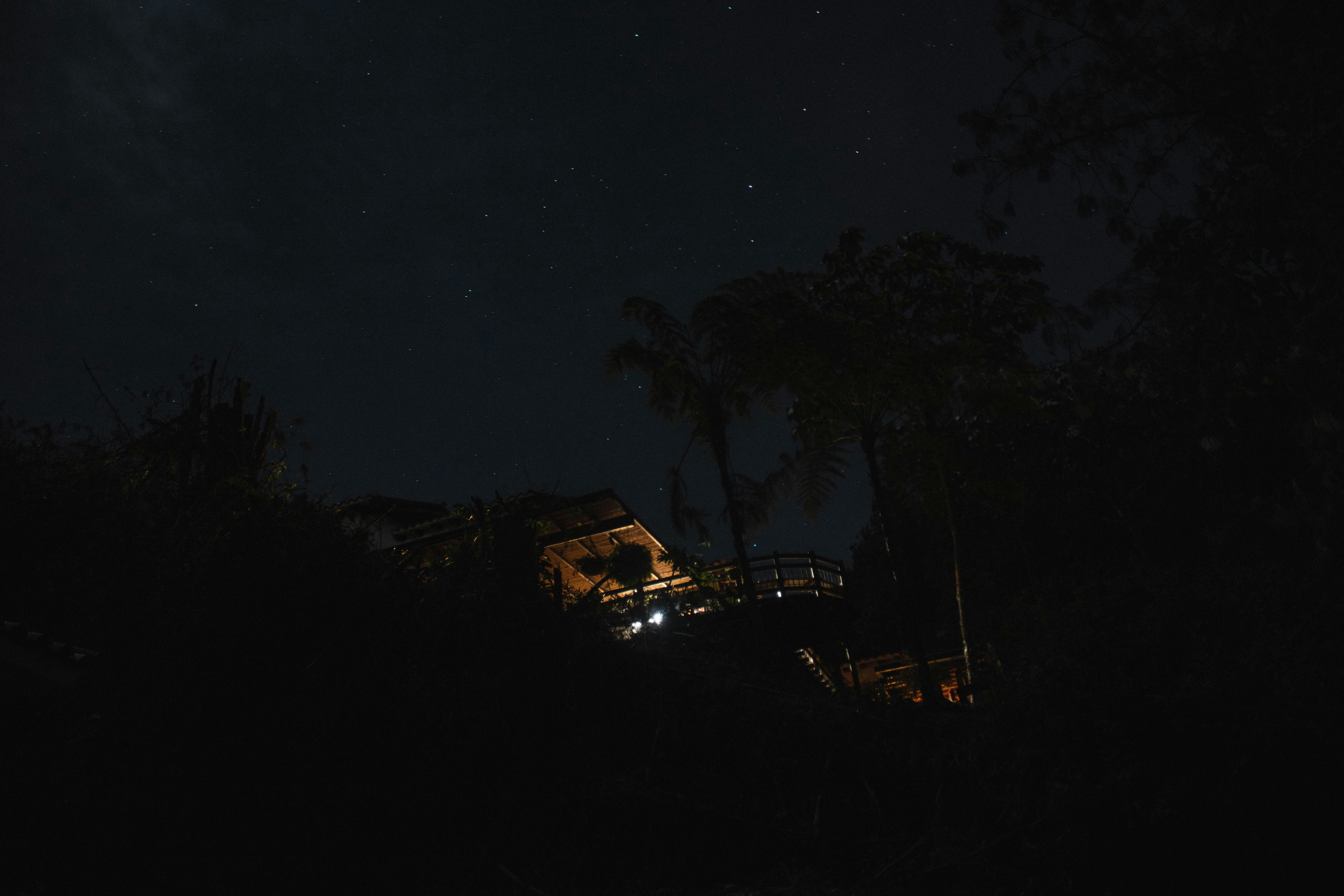 house beside trees during nighttime