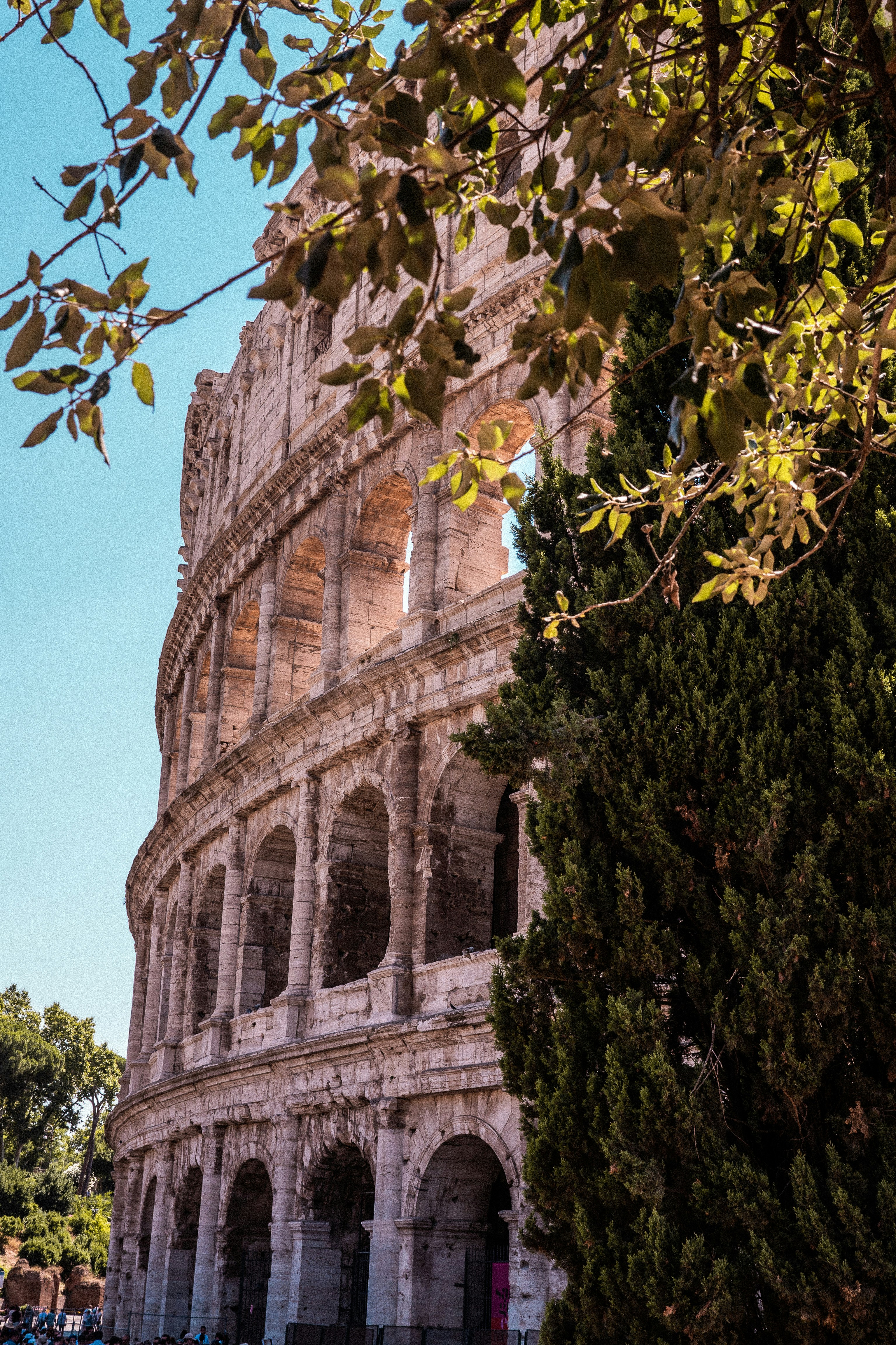 Sunlit Arches of the Colosseum Framed by Foliage
