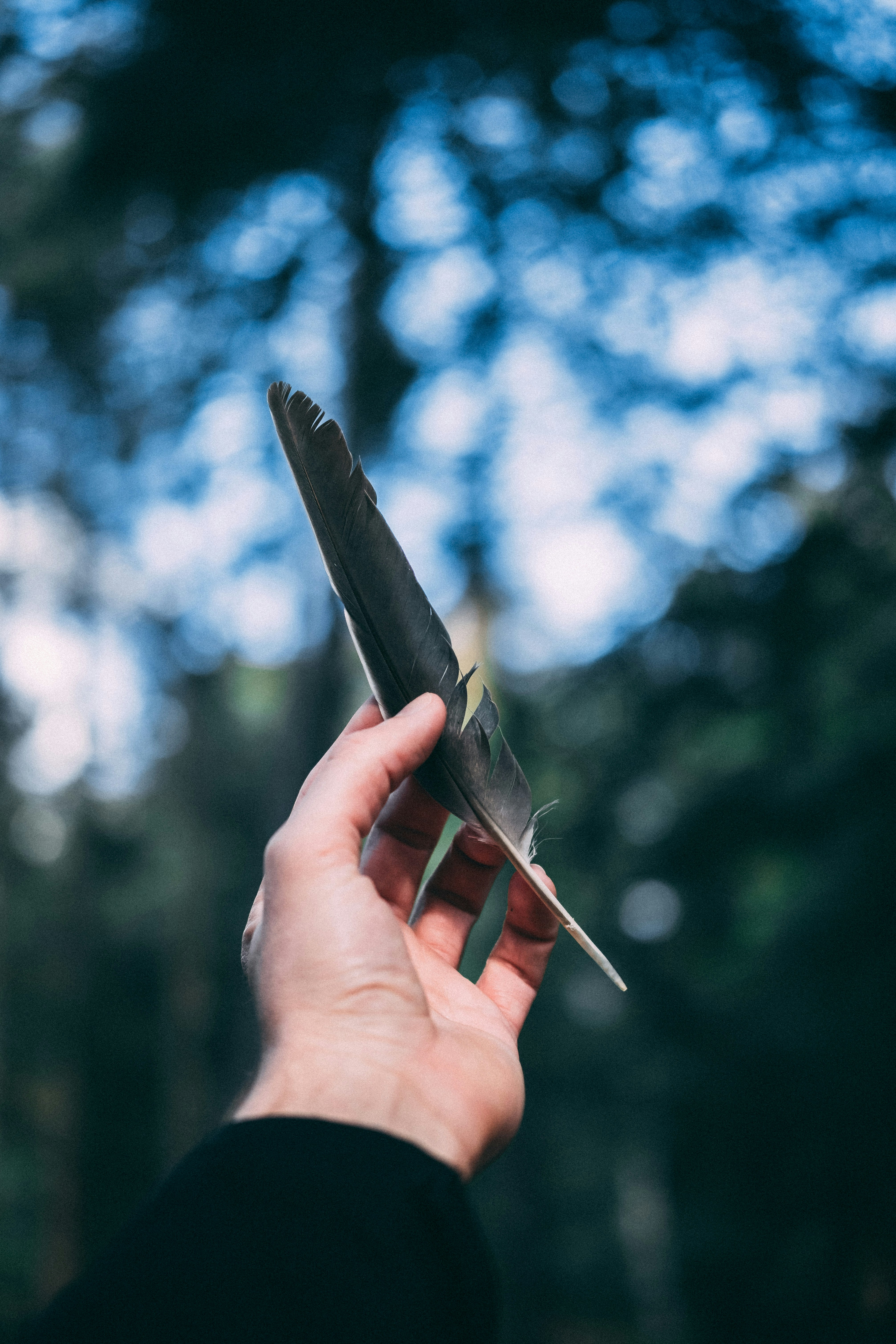 Hand holding a delicate feather against a blurred forest backdrop, symbolizing the connection between nature and humanity.