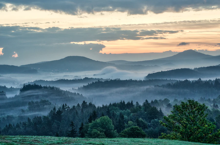 Layered mountain ridges and dark pine forests recede into blue mist beneath a pastel sunrise sky. A lone tree anchors the foreground at right.